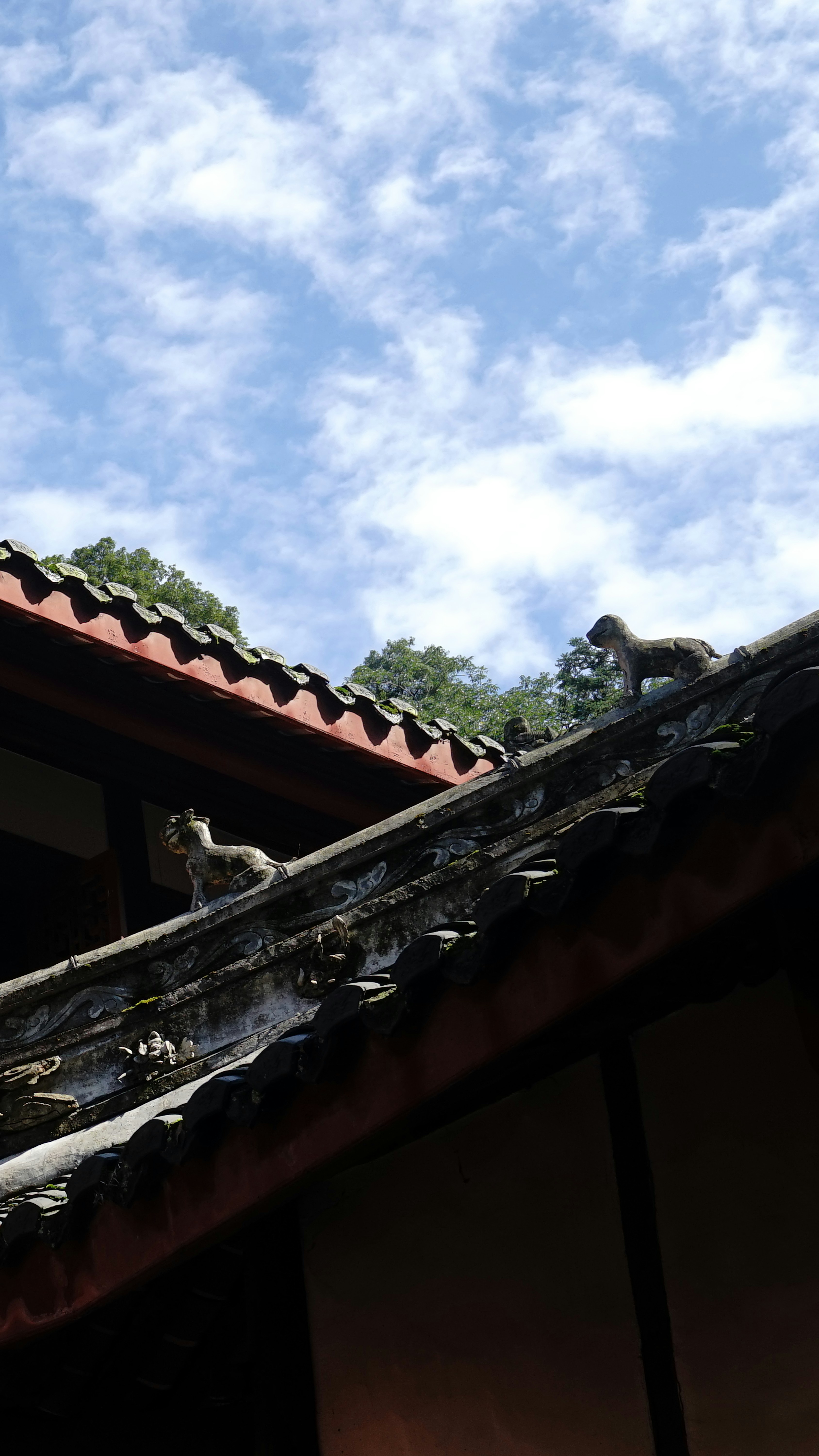 Un chat assis sur le toit d’un immeuble photo – Photo Bleu Gratuite sur ...