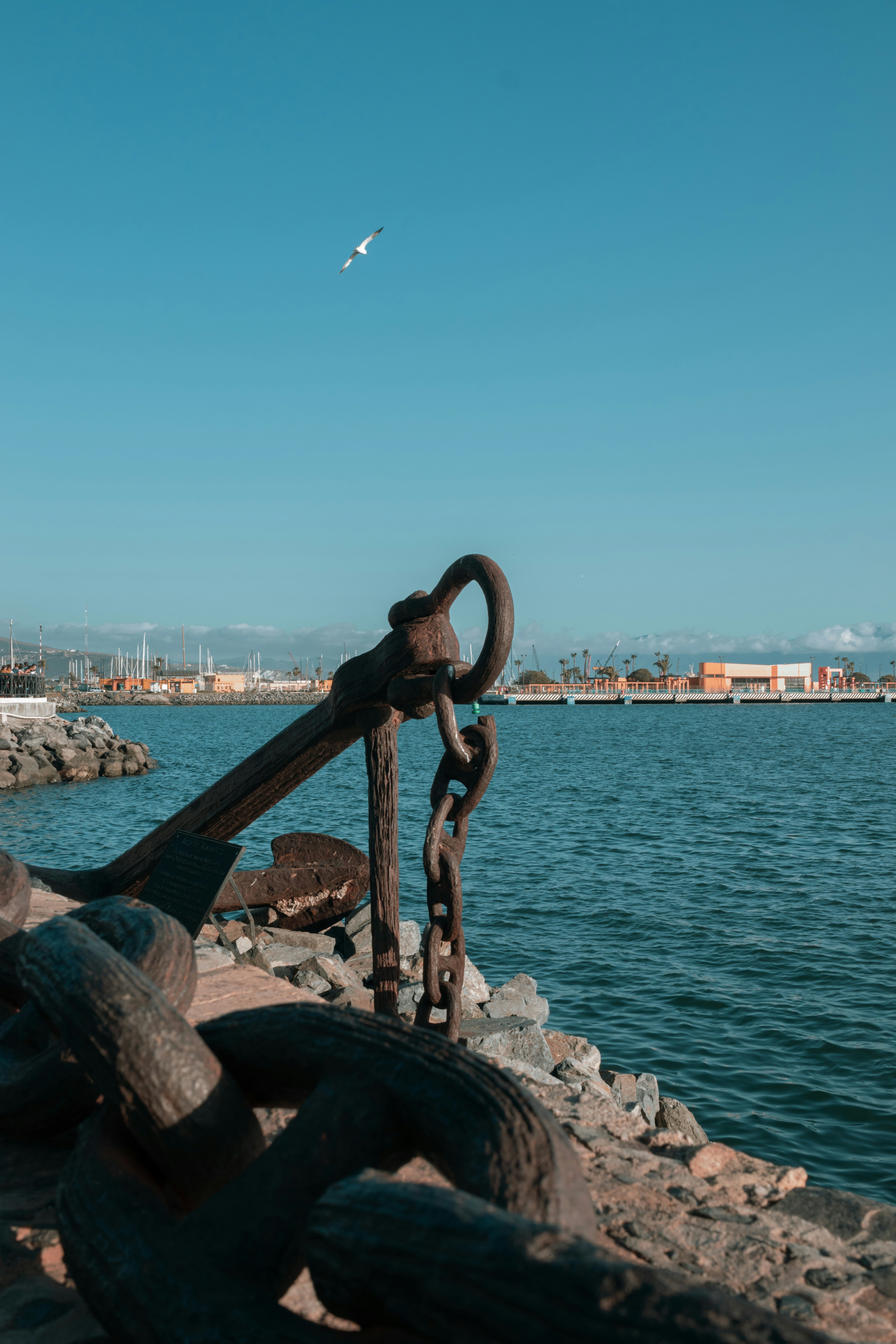 A large anchor on the side of a body of water photo – Free Animal Image ...