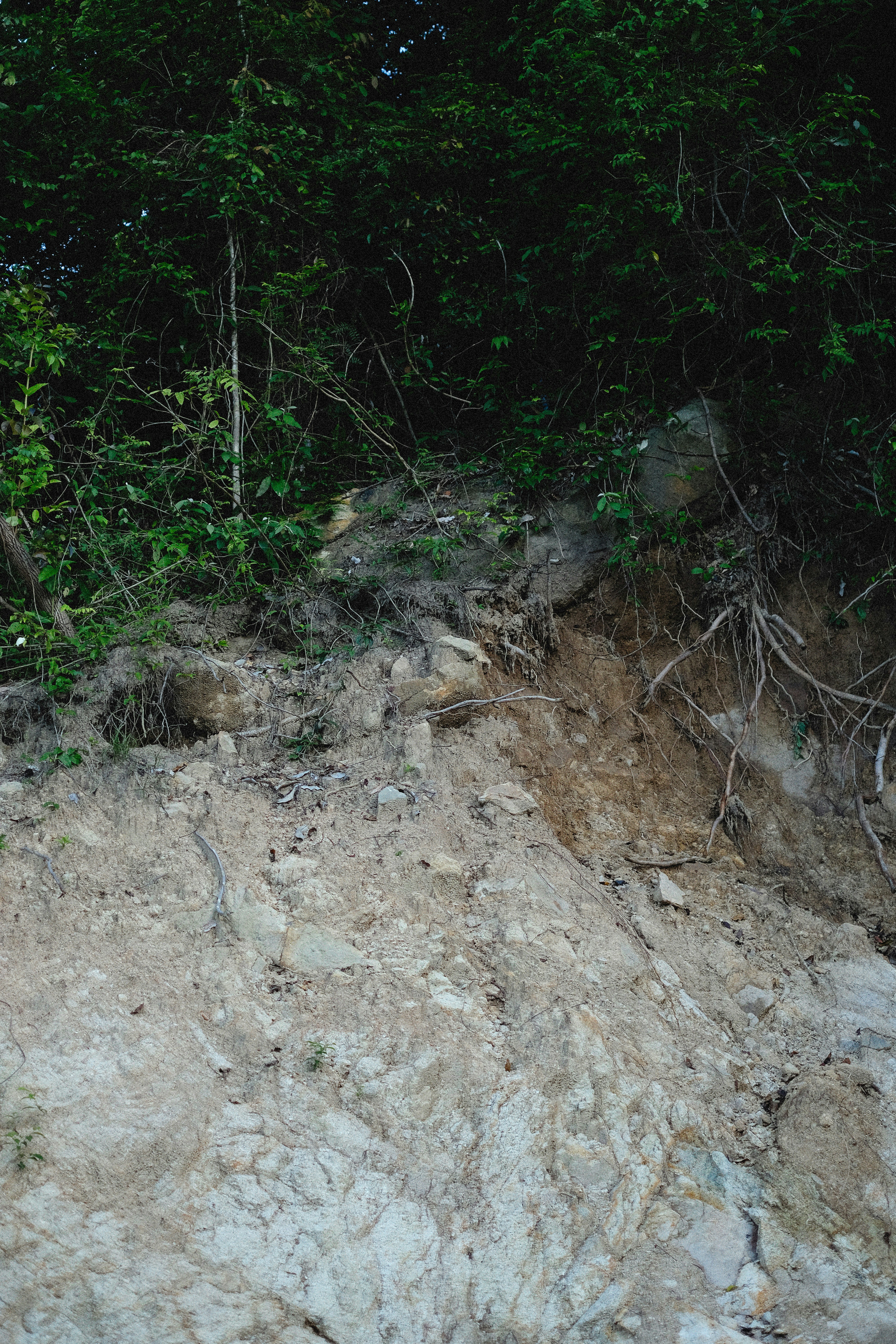 Photo by Alexey Demidov with Fujifilm X-E3