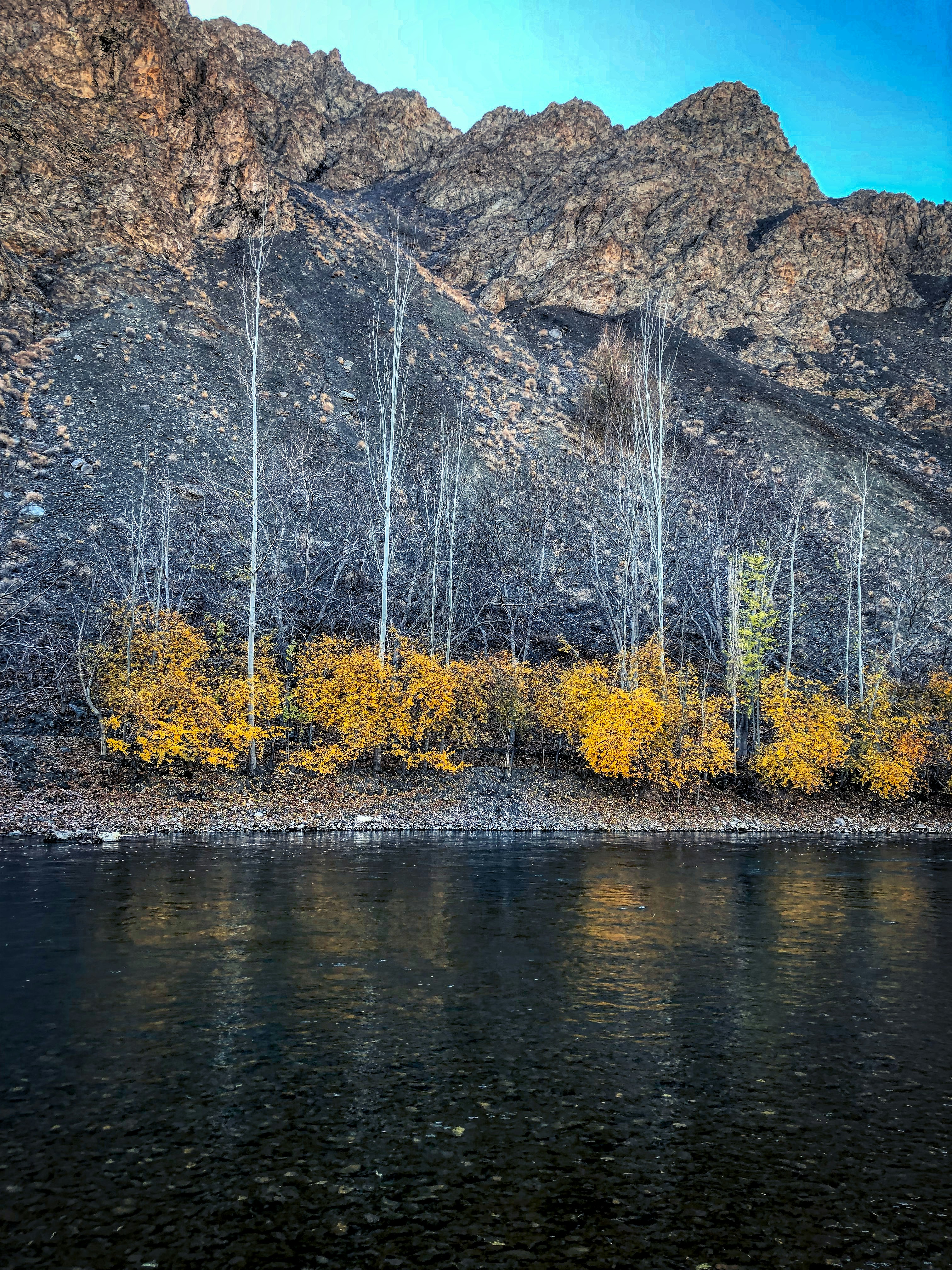 Imagen gratuita Chadegan en Unsplash