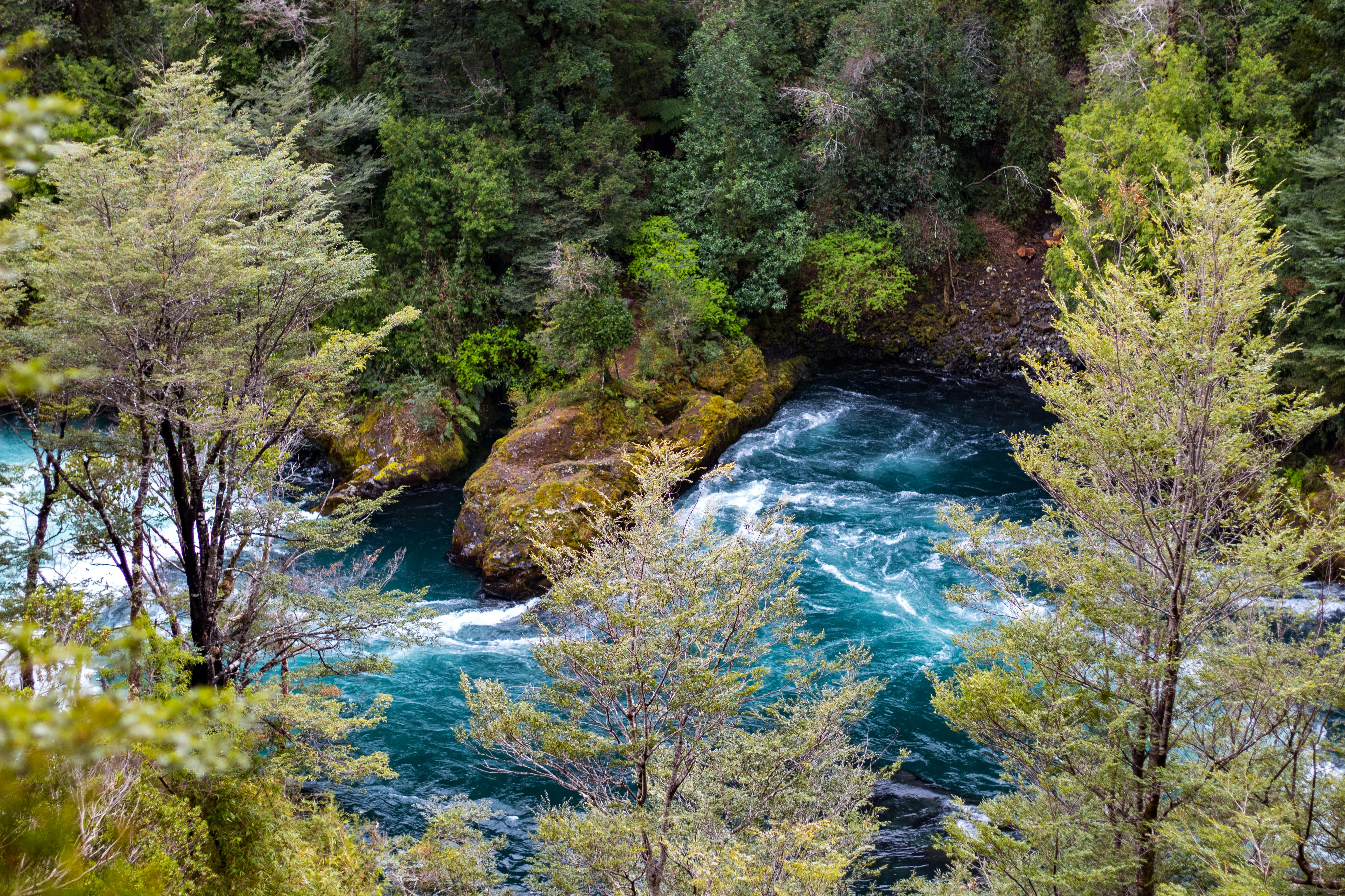 Vibrant turquoise river winding through lush green trees and rocky outcrops.