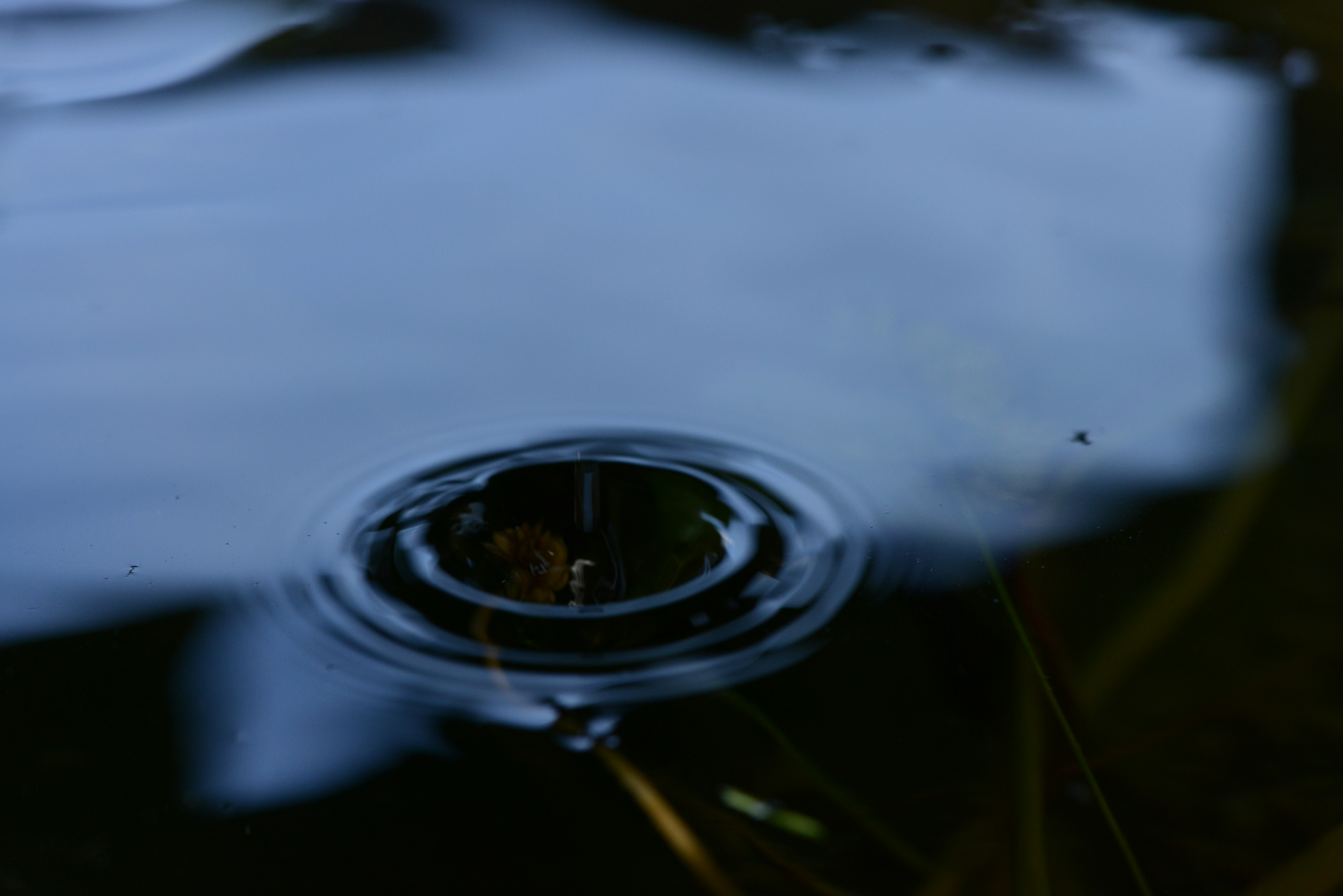A close up of a puddle of water photo – Free Grey Image on Unsplash