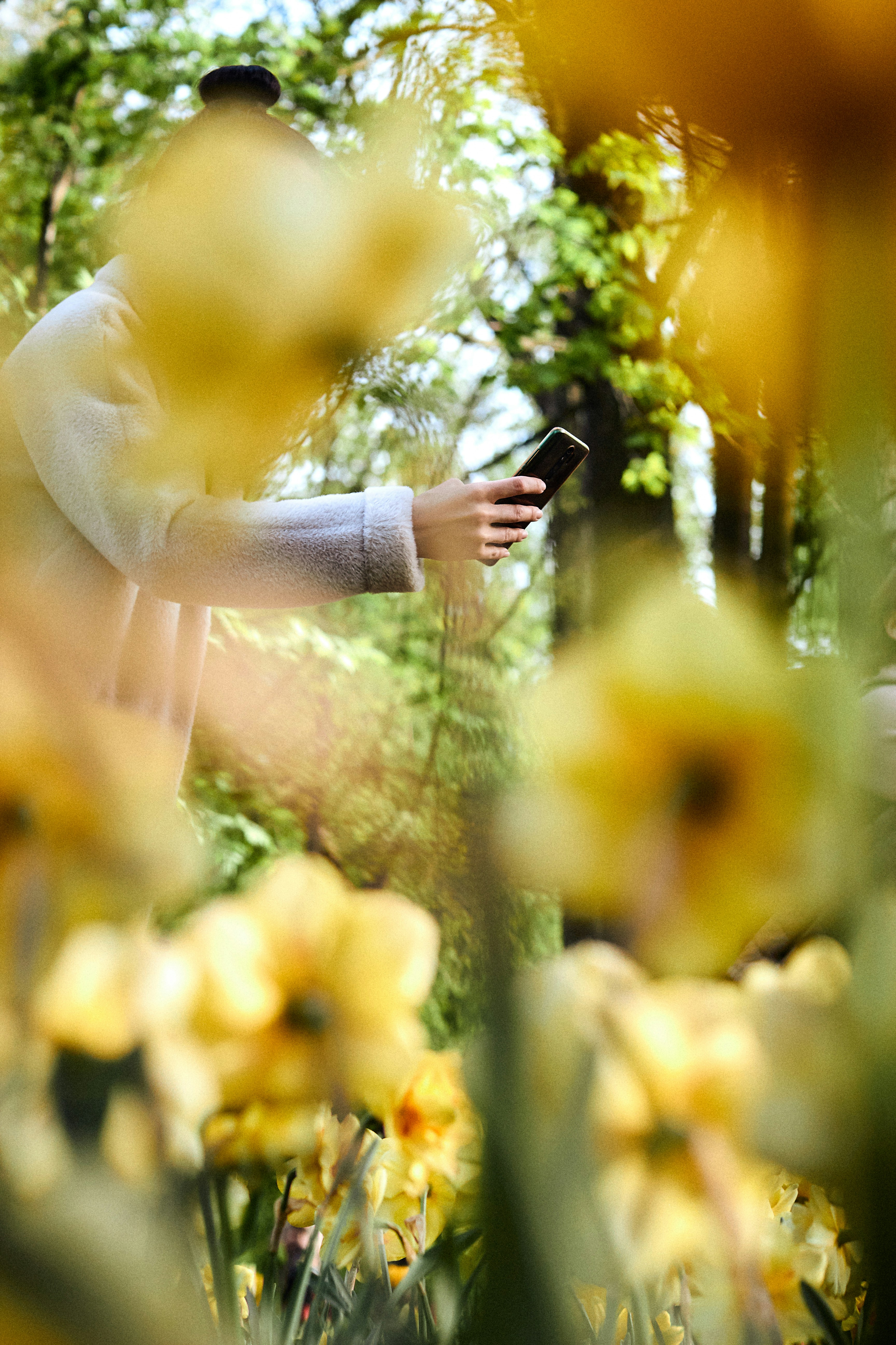 Soft Bloom, Bright Screen: A Park Moment Framed by Daffodils