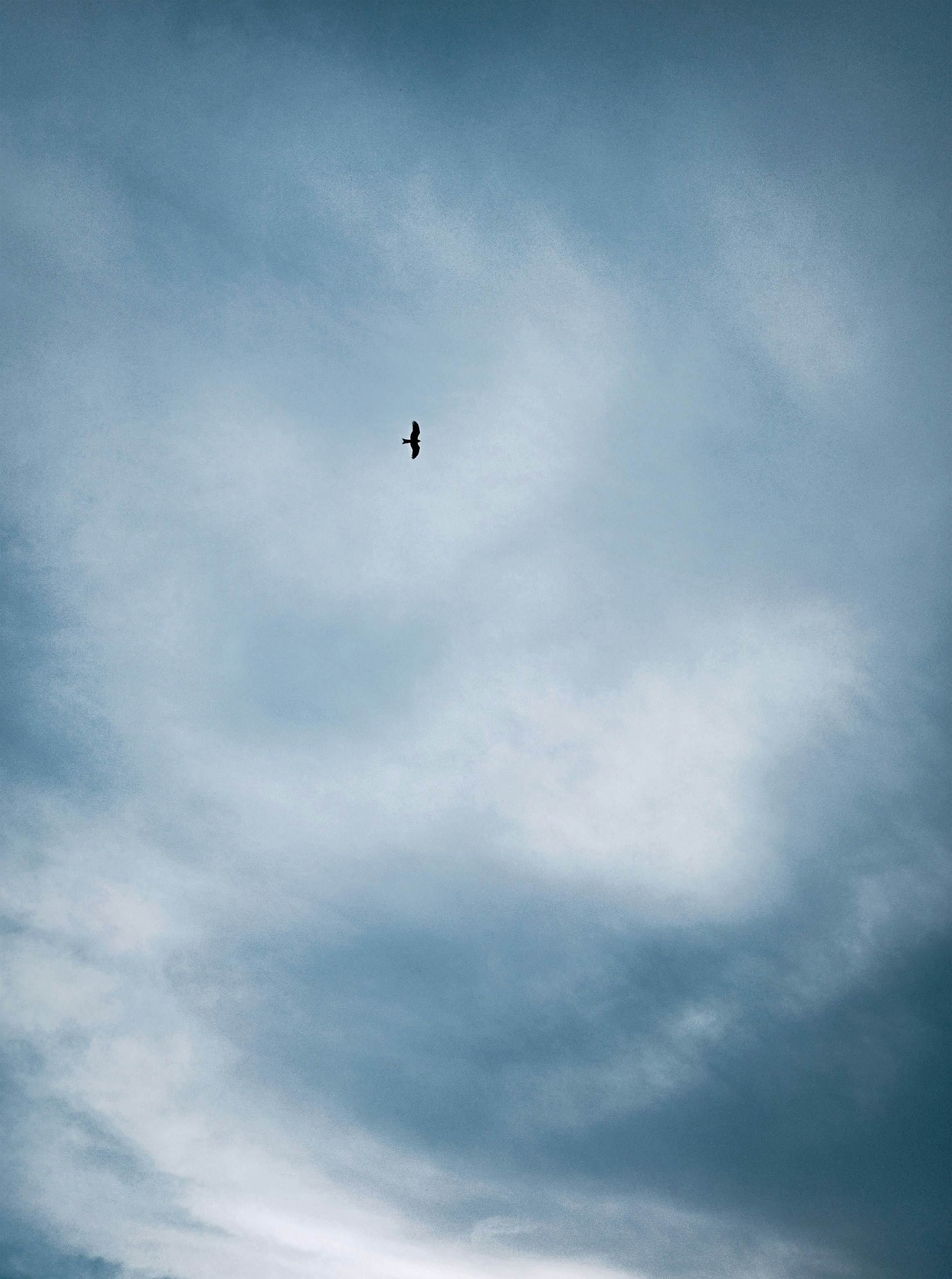 A solitary bird glides gracefully across a vast, cloudy sky, embodying freedom and tranquility.