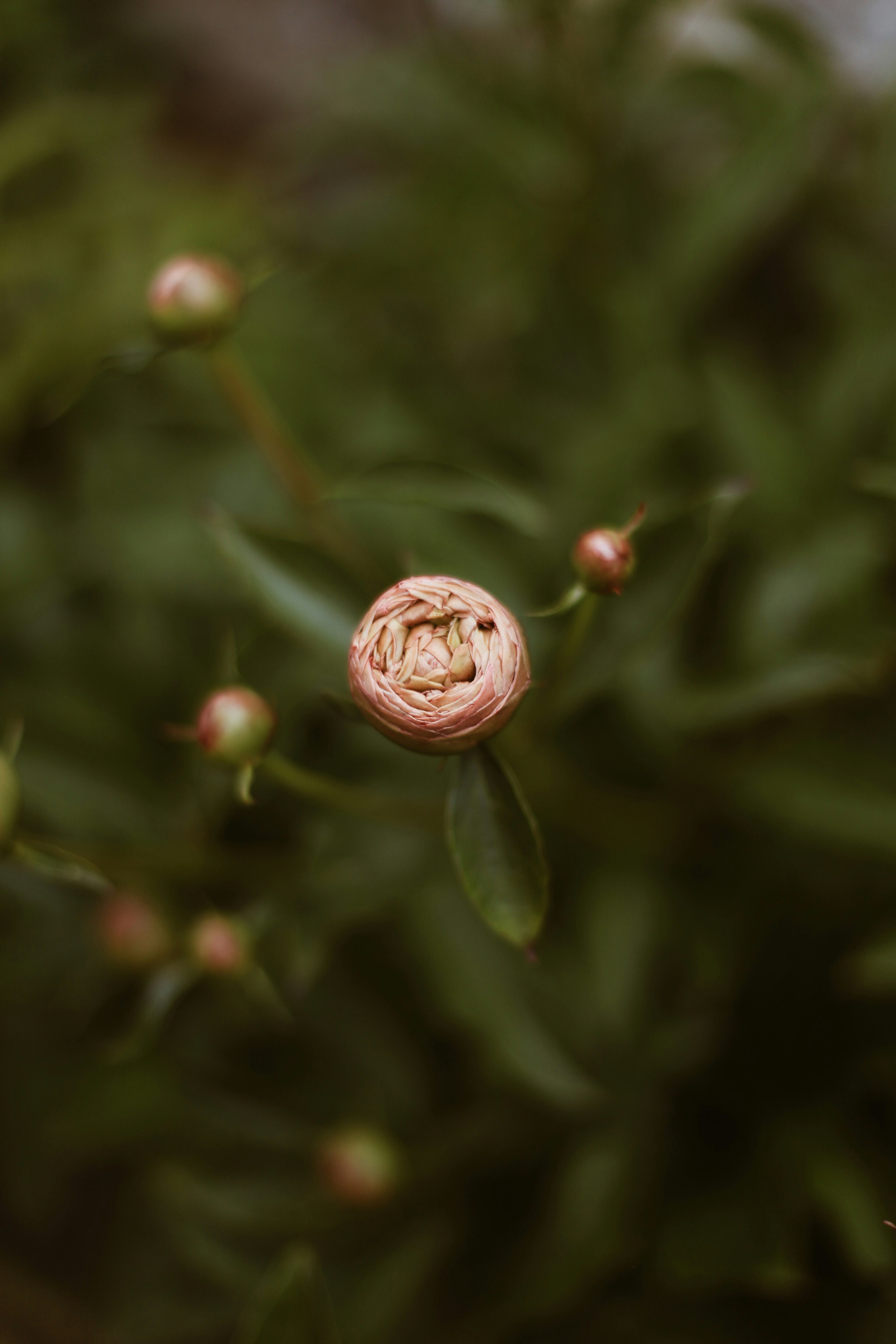 Photo by Jessica Fadel with Canon EOS 6D