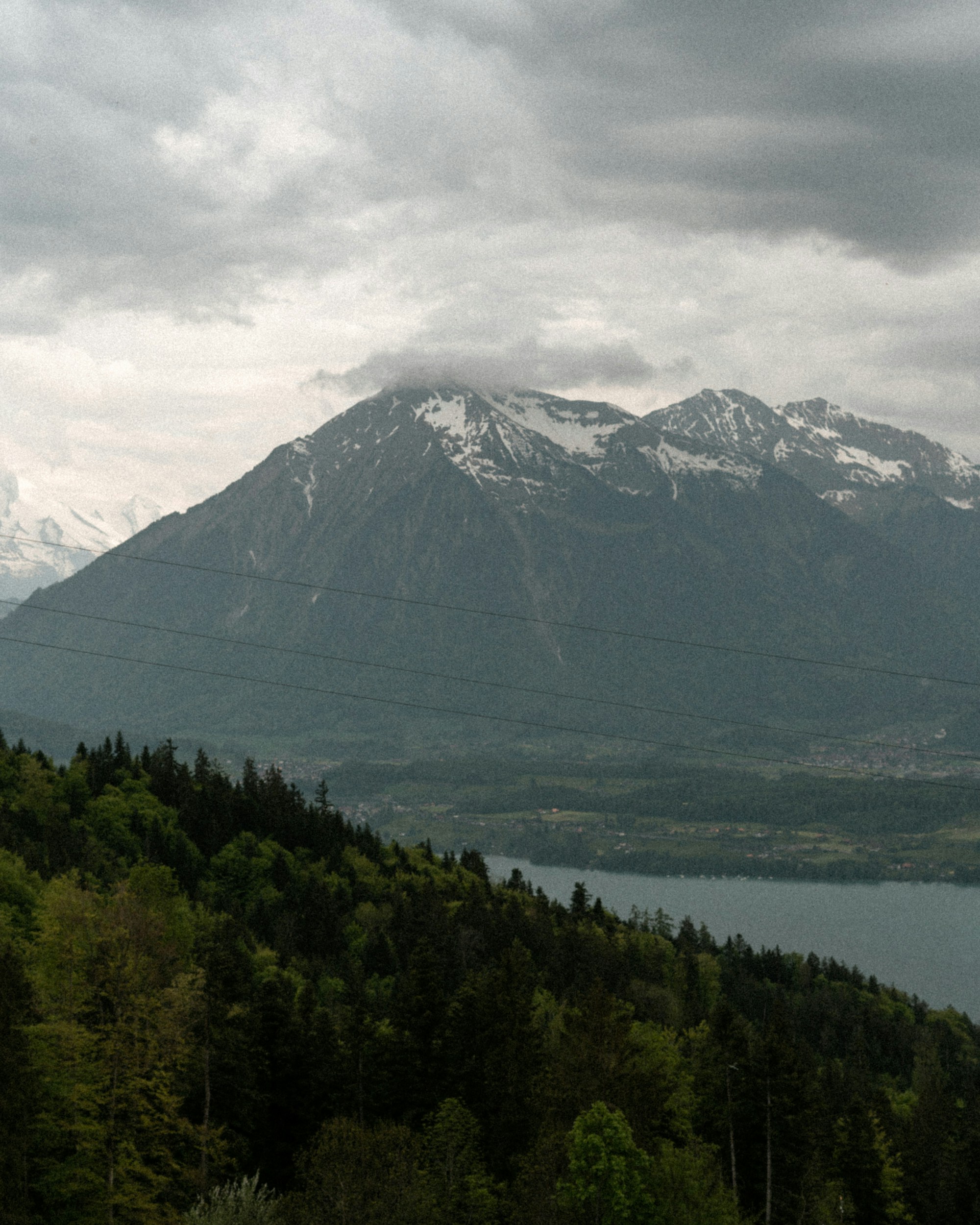 Snow-capped mountain range beneath overcast skies with a lush forest in the foreground.