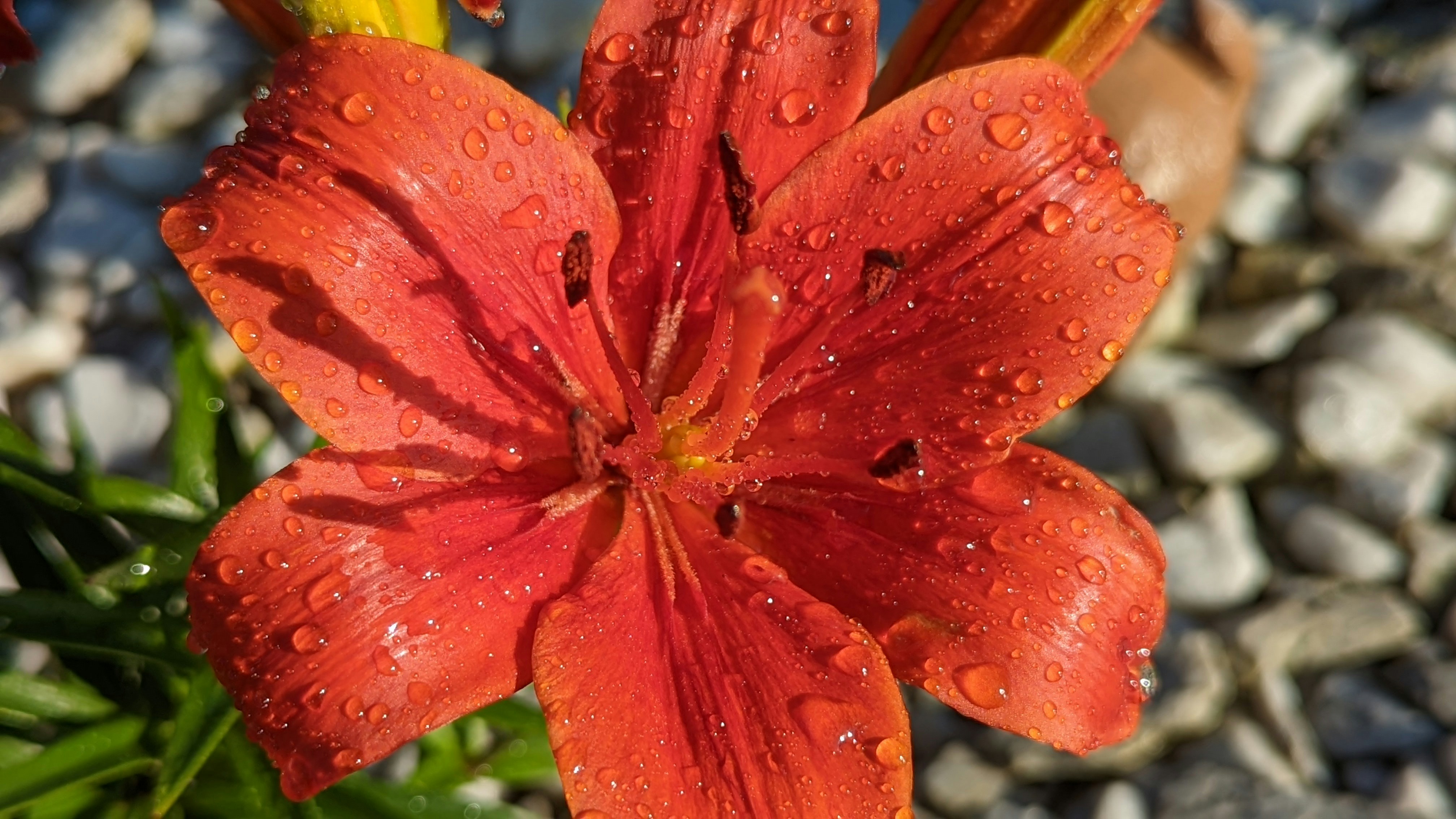 Joe Styer (@joestyer) | Komunitas Foto Unsplash