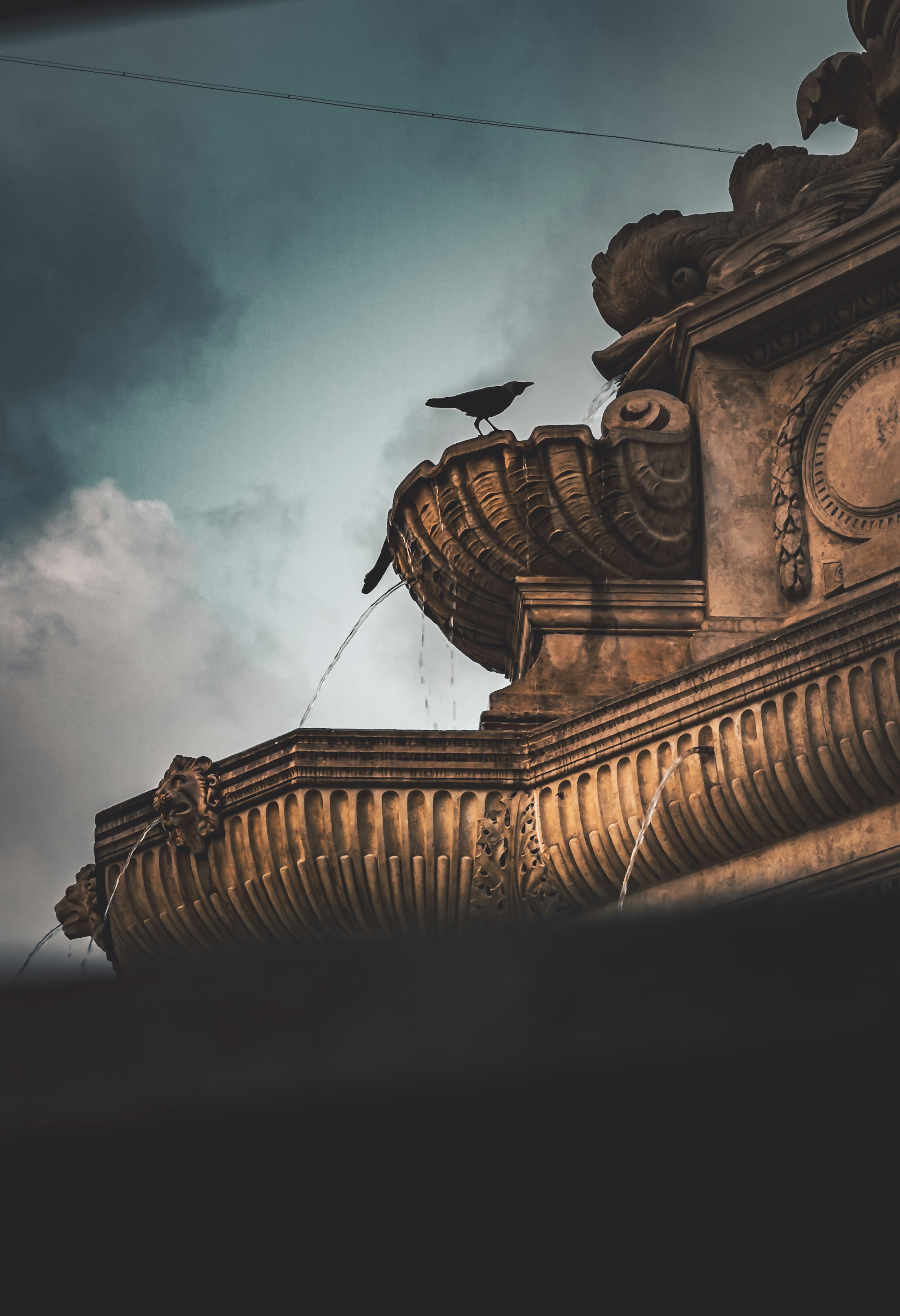 a bird is sitting on top of a building