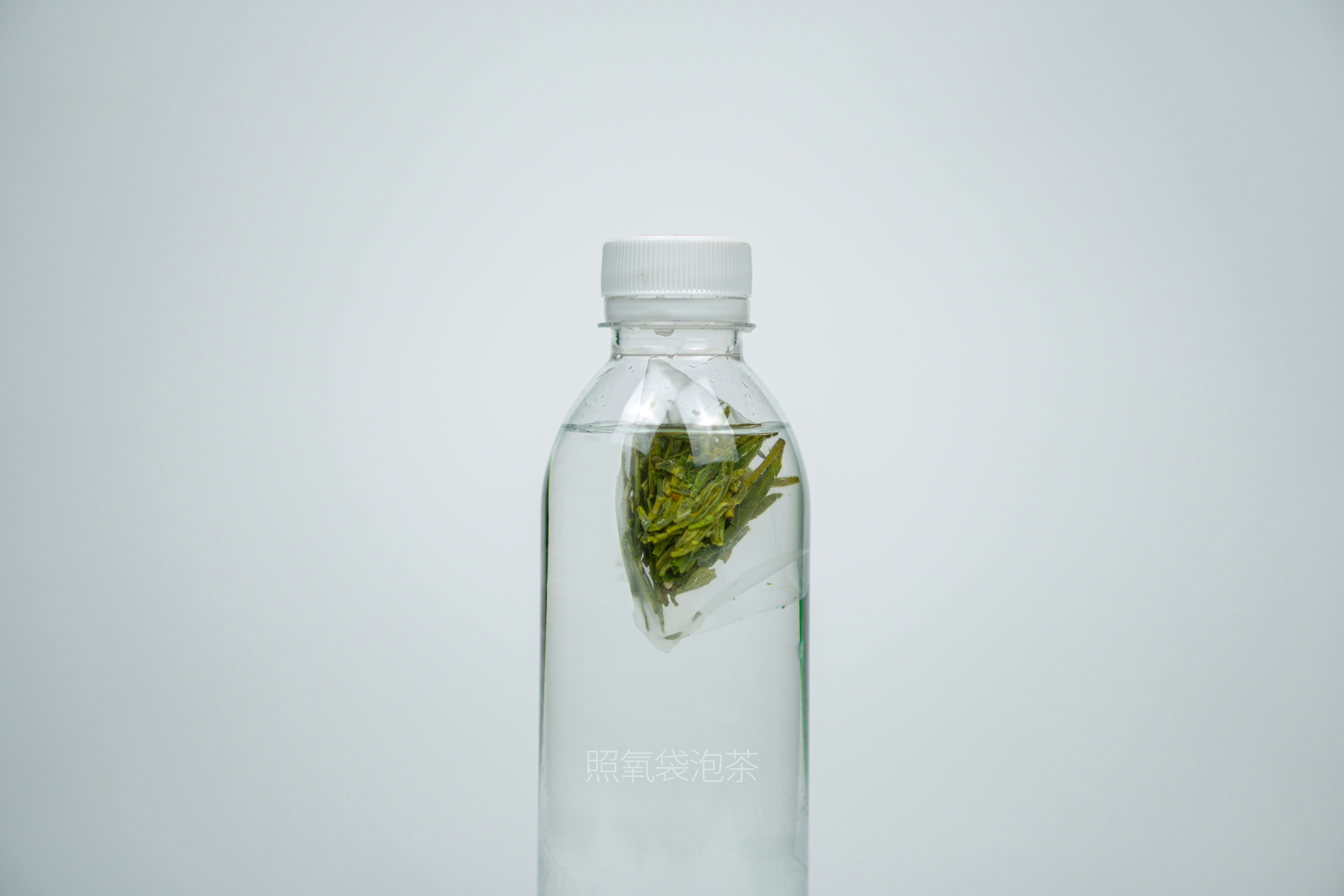 Fern in Glass: Minimal Studio Portrait of Living Green in Clear Water