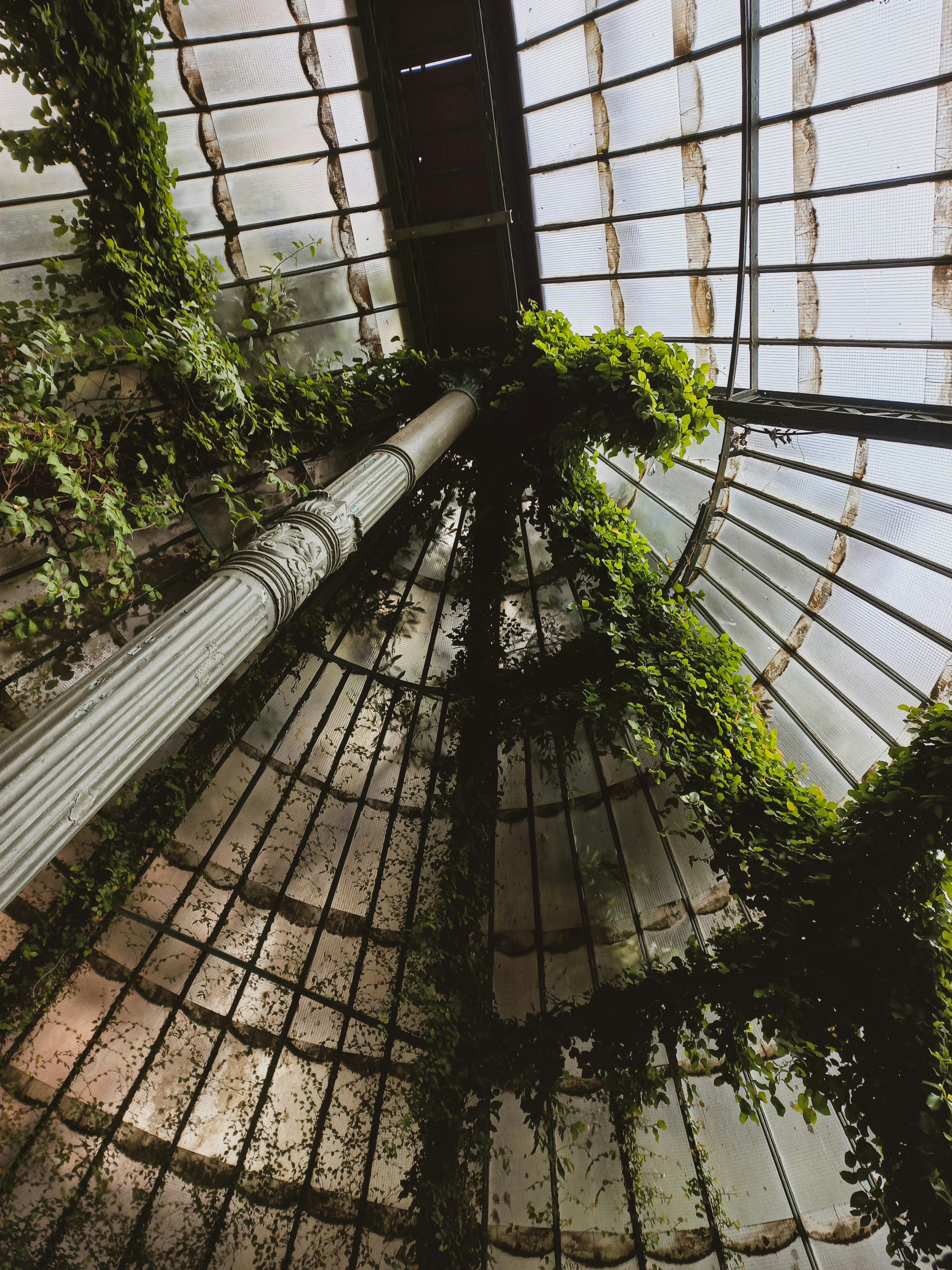 A photo of an ivy-clad steel pipe spiraling toward a ribbed glass dome, captured from a dramatic low-angle perspective.