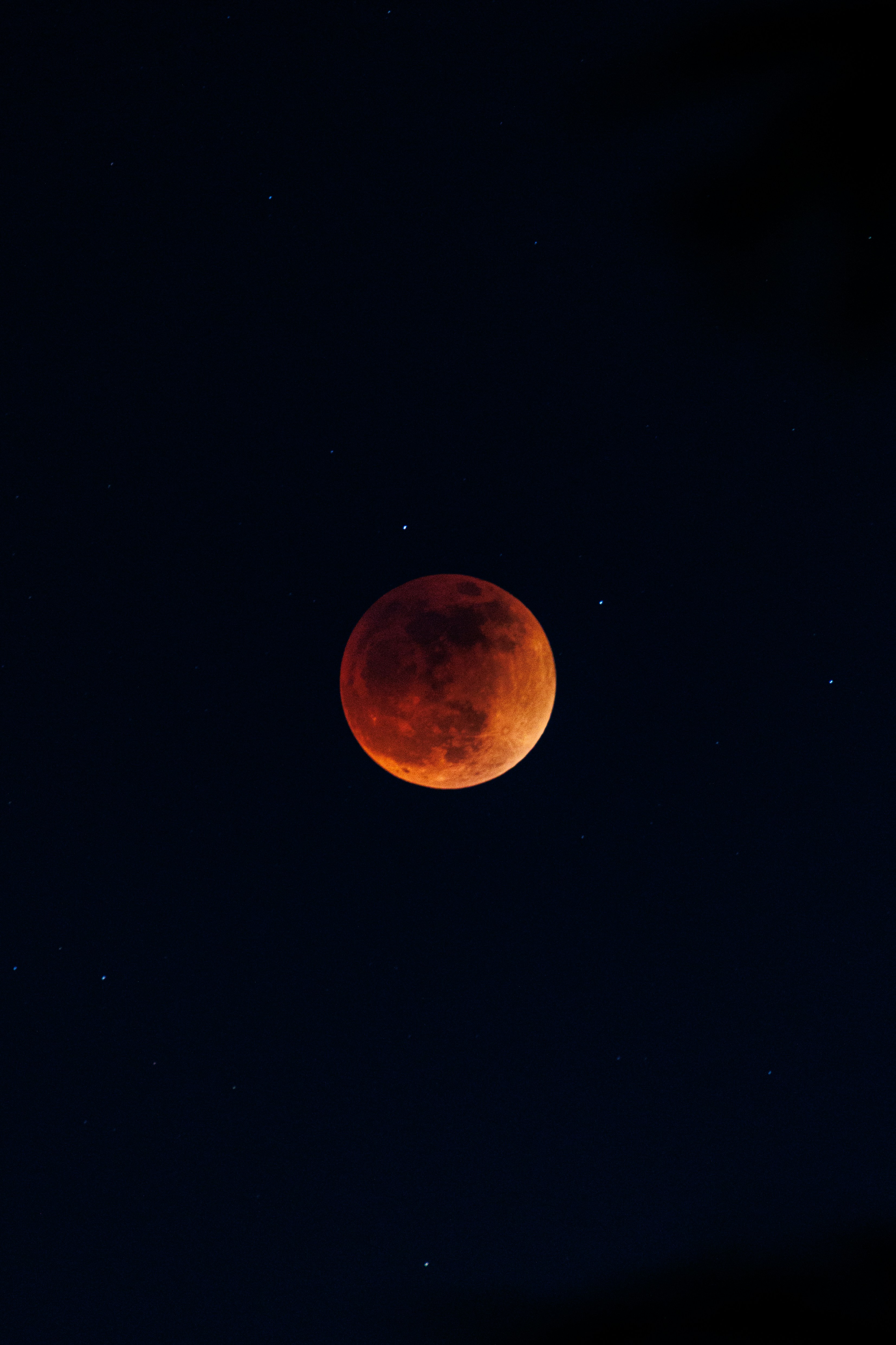 Crimson Lunar Eclipse Over a Quiet Night Sky