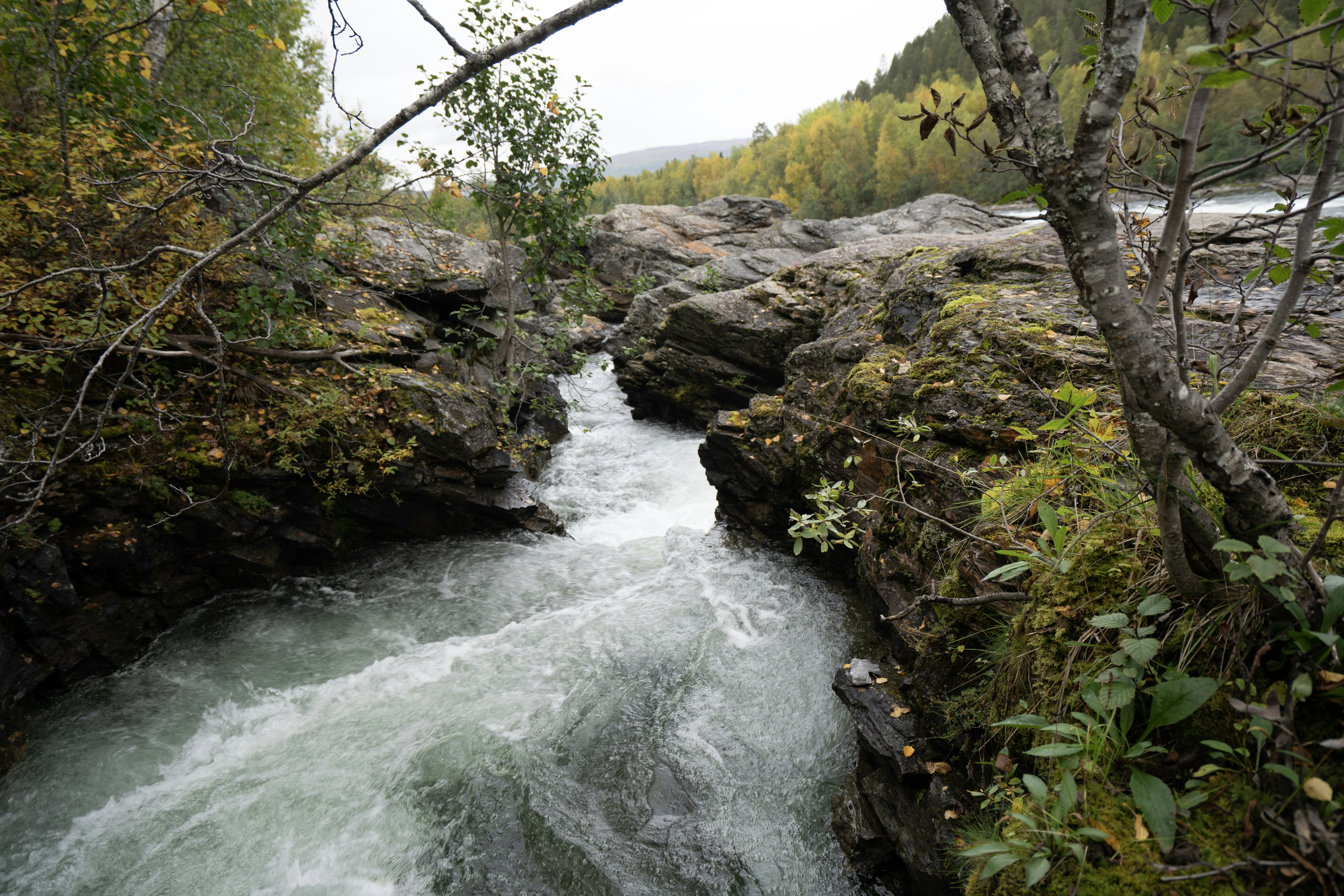 Fast-flowing river carving through rocky terrain, framed by lush autumn foliage. The scene captures the dynamic interplay of water and stone.