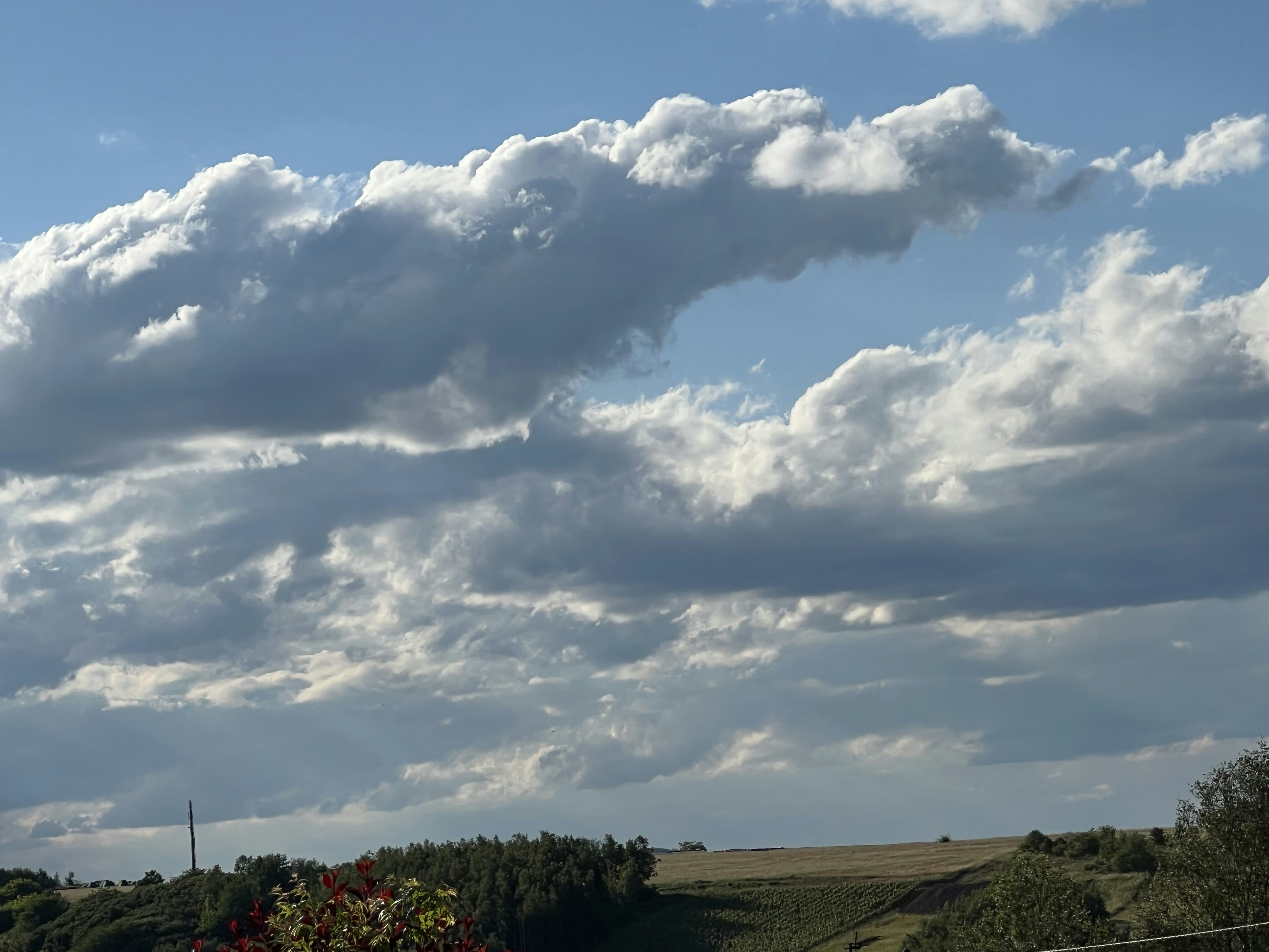 Cumulus Cathedral Over a Quiet Prairie Horizon