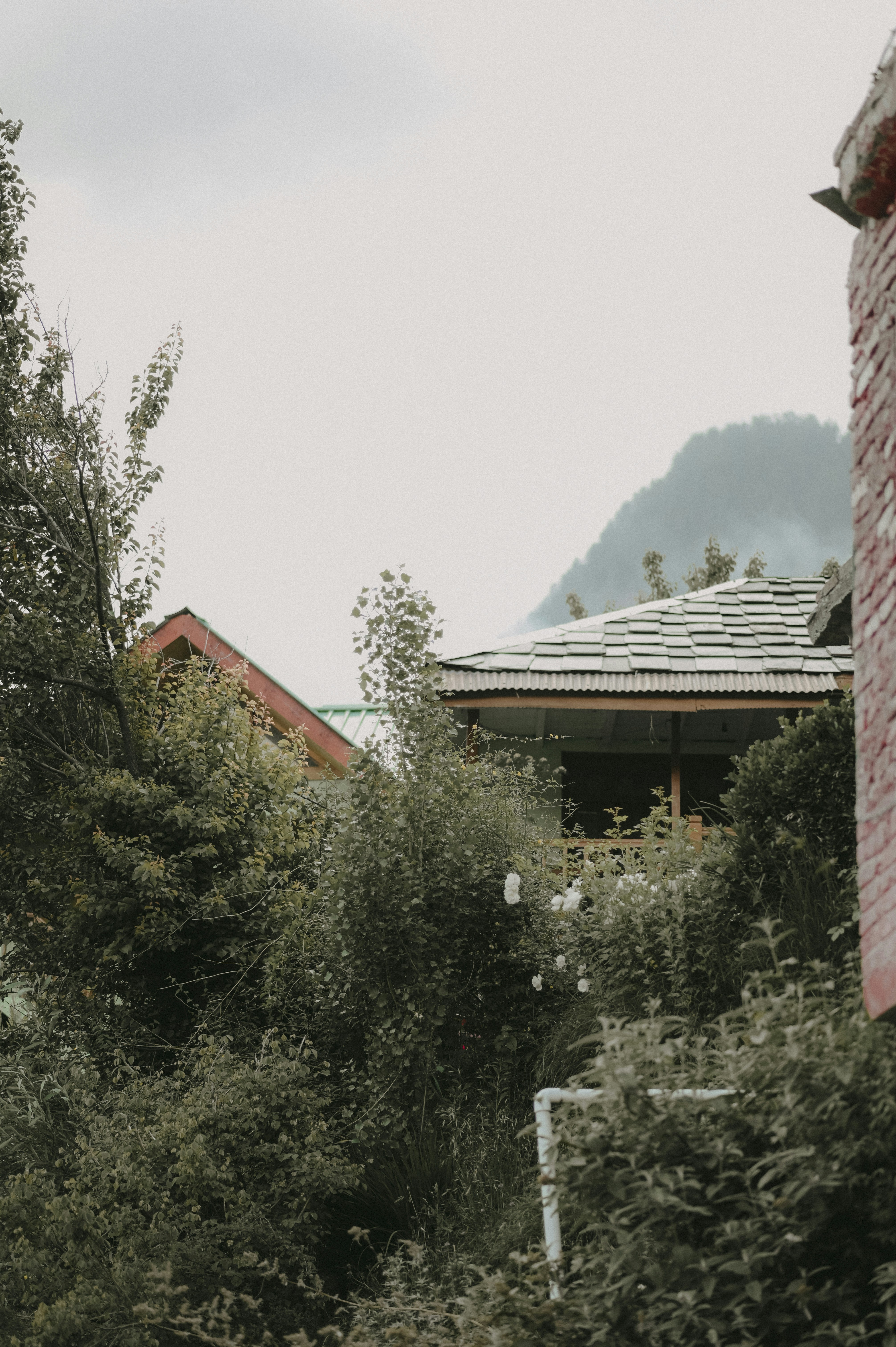 A stop sign in front of some bushes and trees photo – Free Grey Image ...