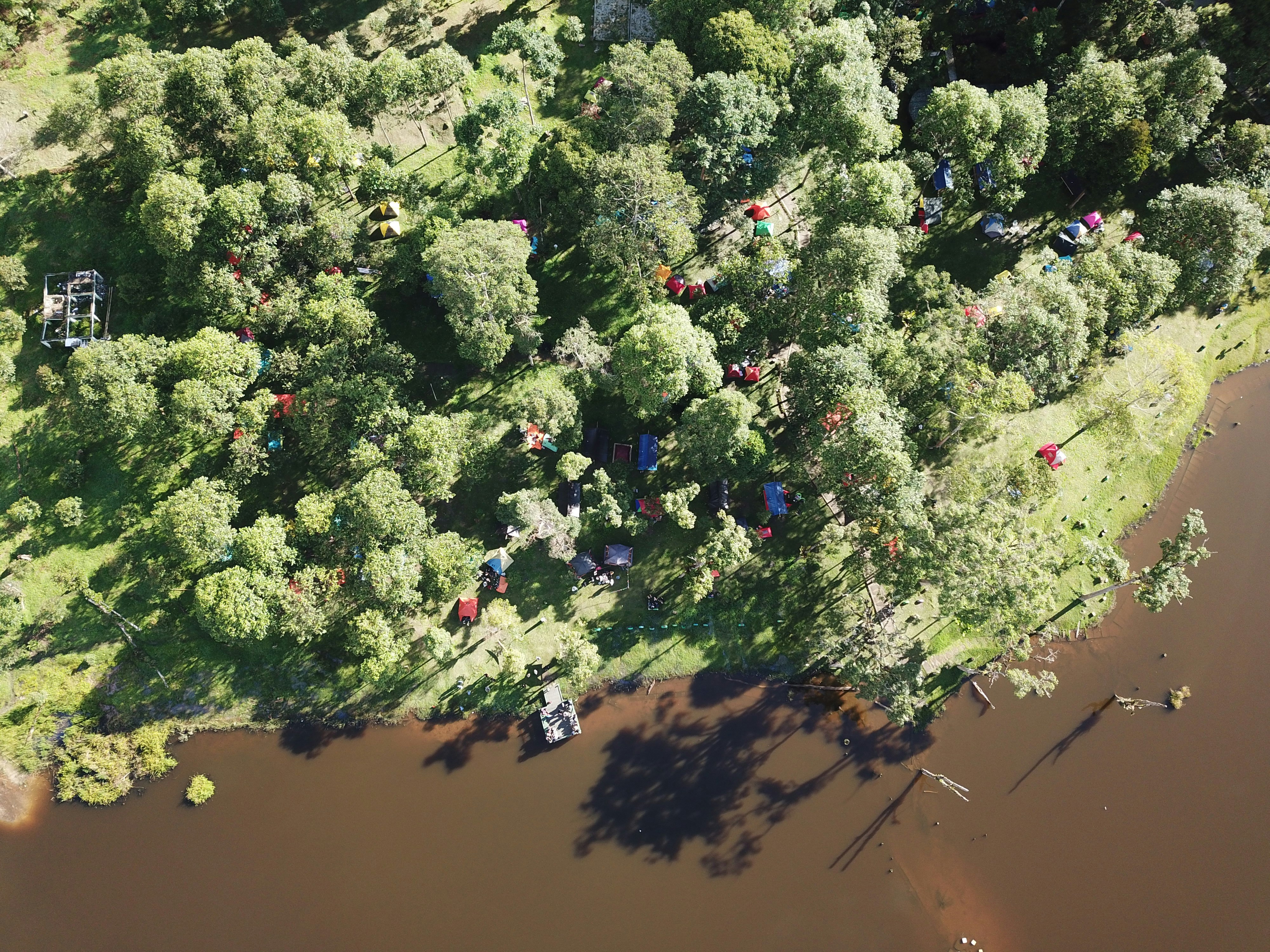 Foto Una vista aérea de una zona boscosa junto a un río – Imagen ...