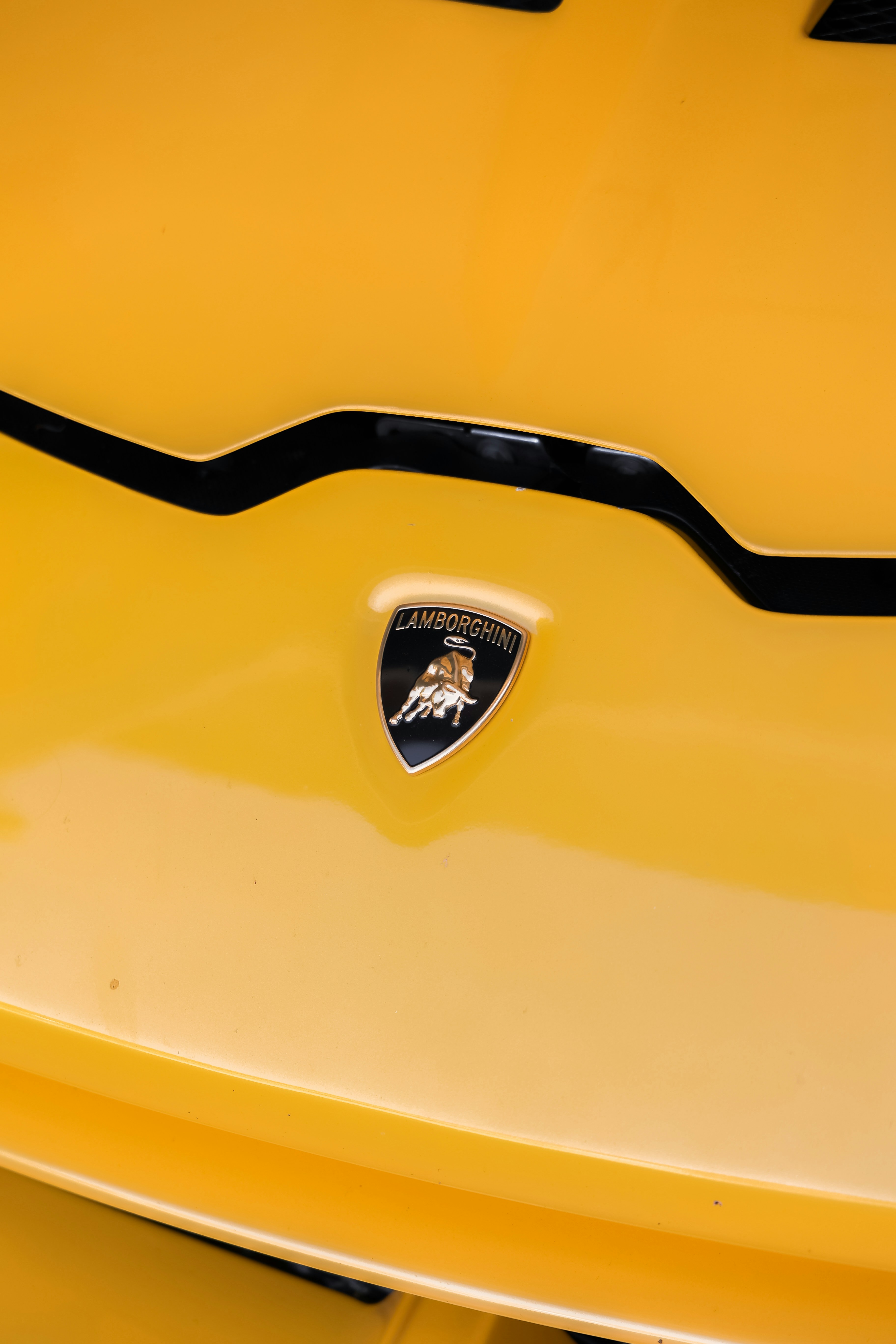 Sunlit Shield: A Close-Up of Lamborghini Emblem on a Curved Yellow Bumper