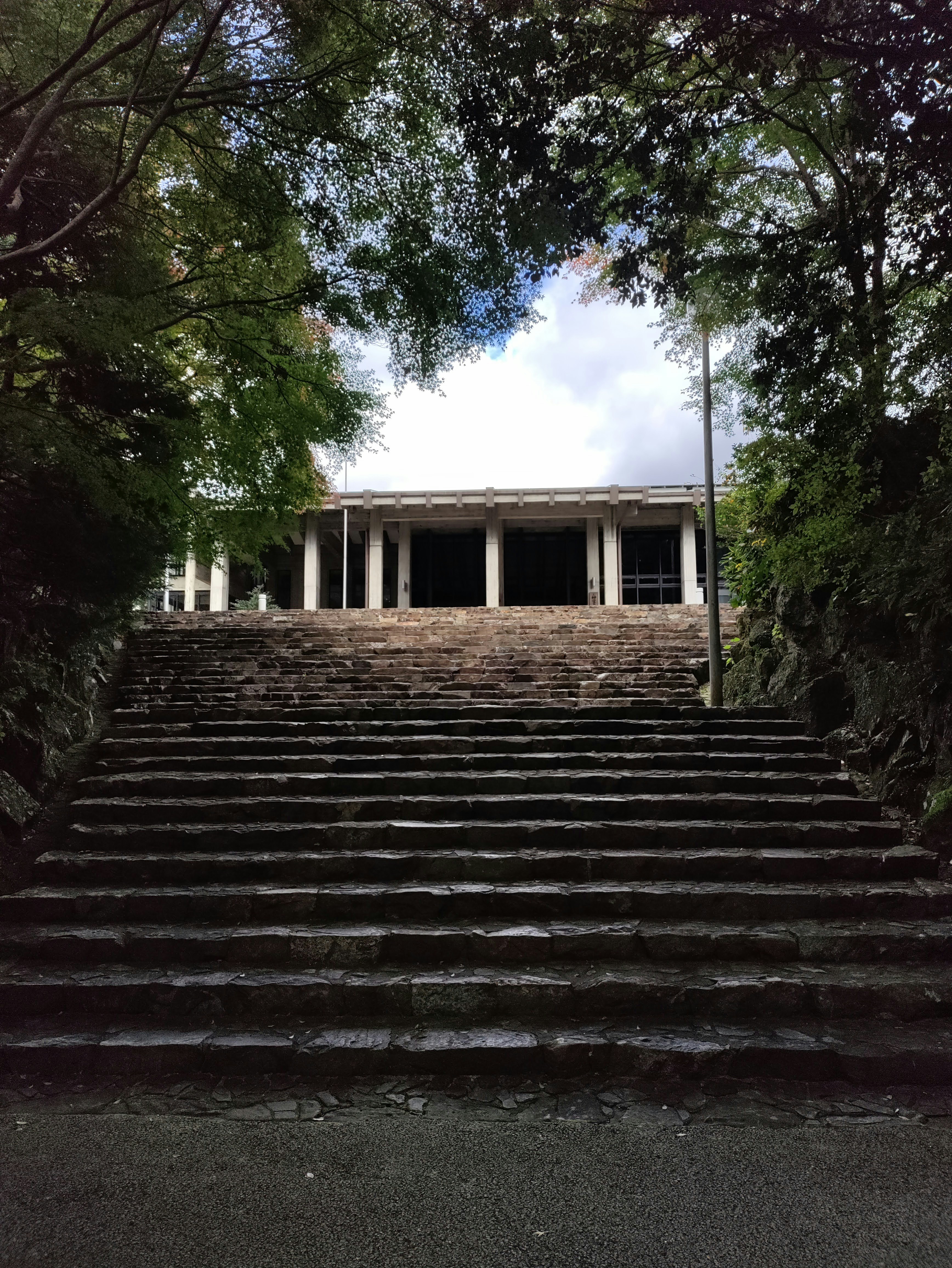 Stone steps ascend toward a neoclassical colonnade framed by tree canopy, inviting a quiet ascent to the building.