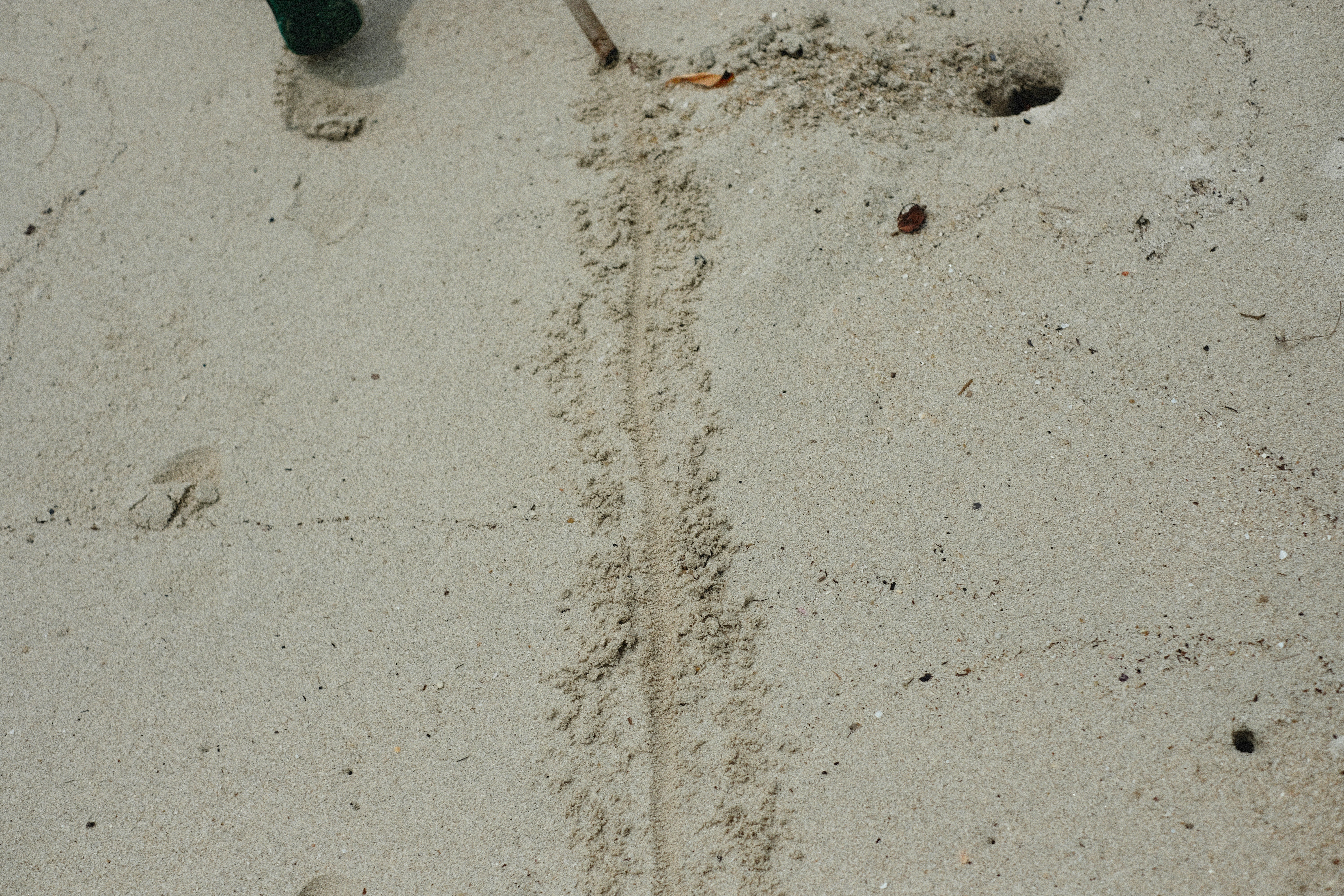 Photo by Alexey Demidov with Fujifilm X-E3