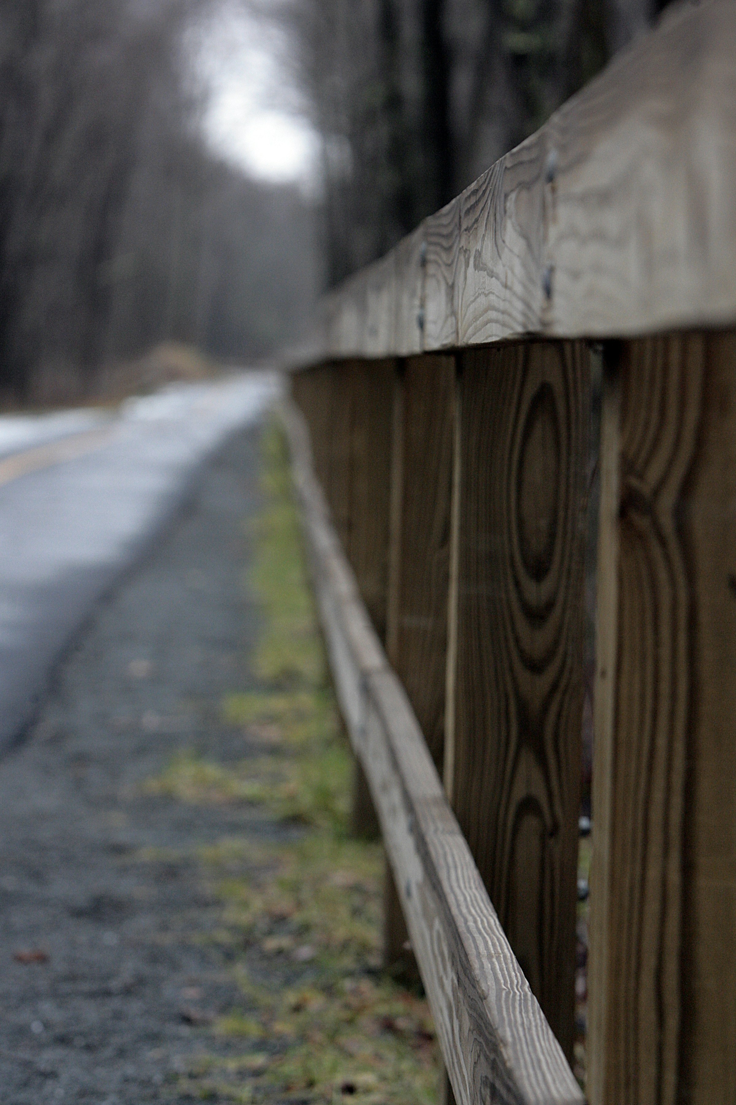 Along the Weathered Fence: A Quiet Roadside Perspective