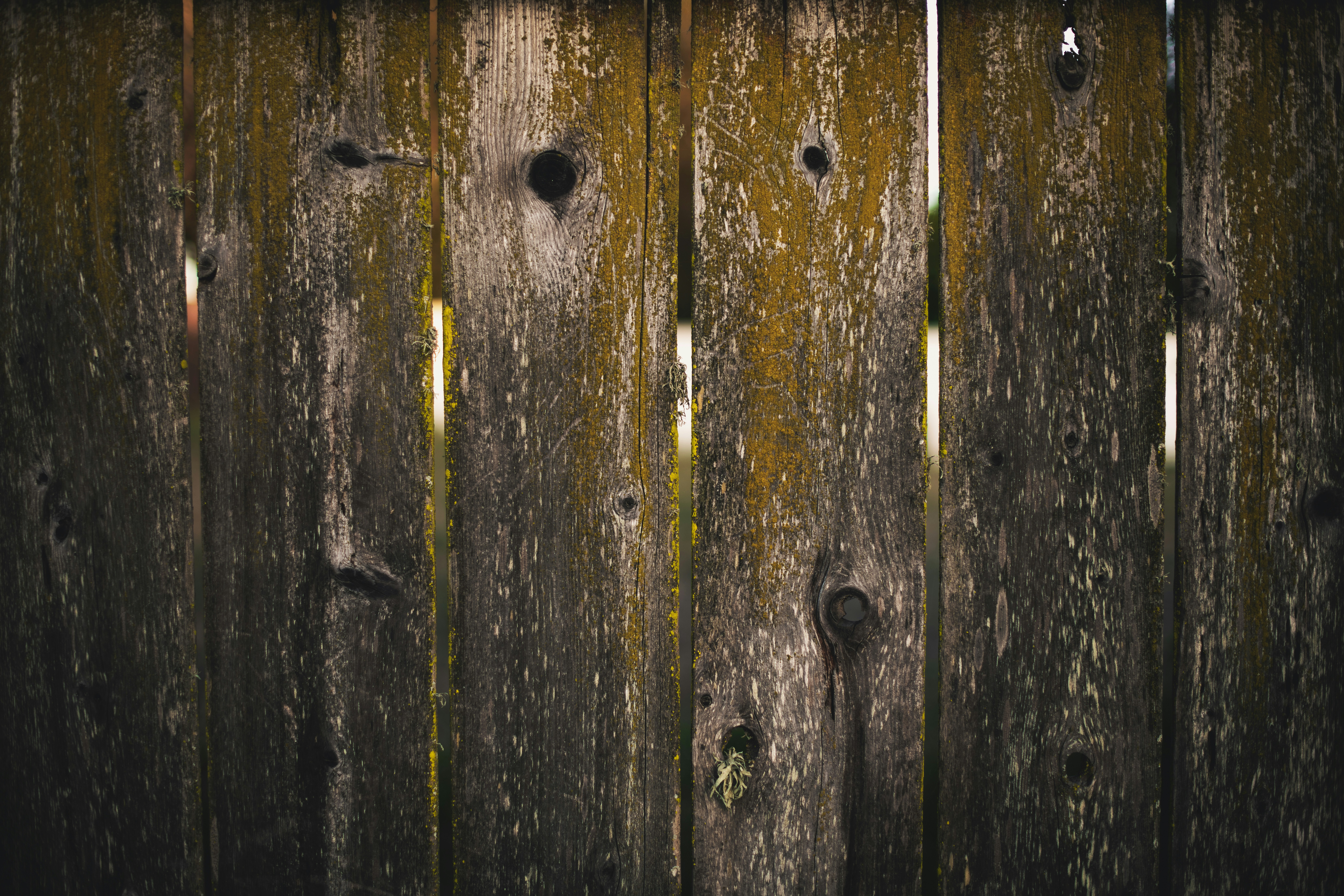 Close-up of an aged wooden fence, showcasing its textured surface, knots, and subtle moss growth. The interplay of light and shadow enhances the rustic charm.