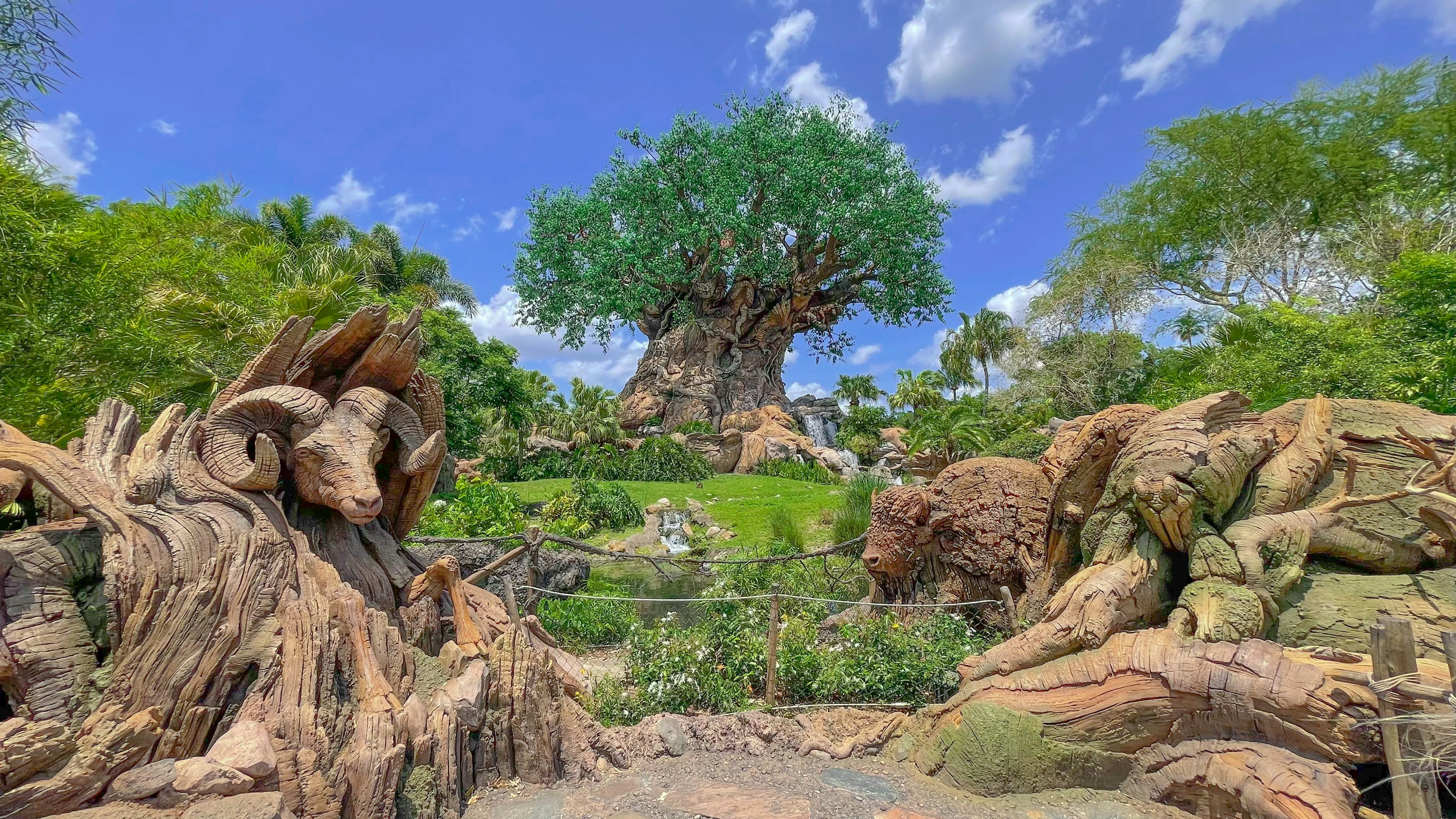 Disney’s Magic Kingdom- Tree of Life