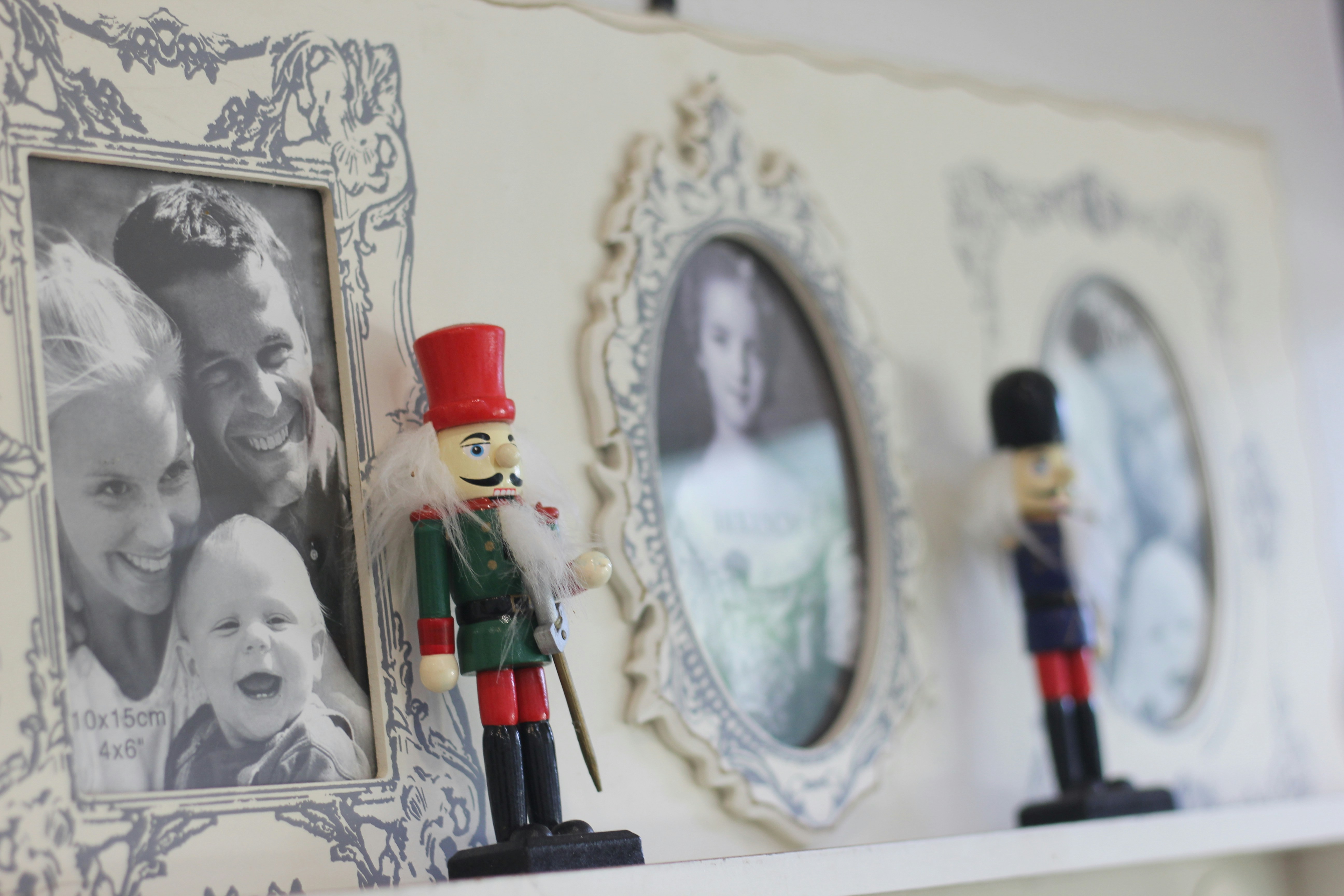 Guardians of a Quiet Shelf: Nostalgia in Focus