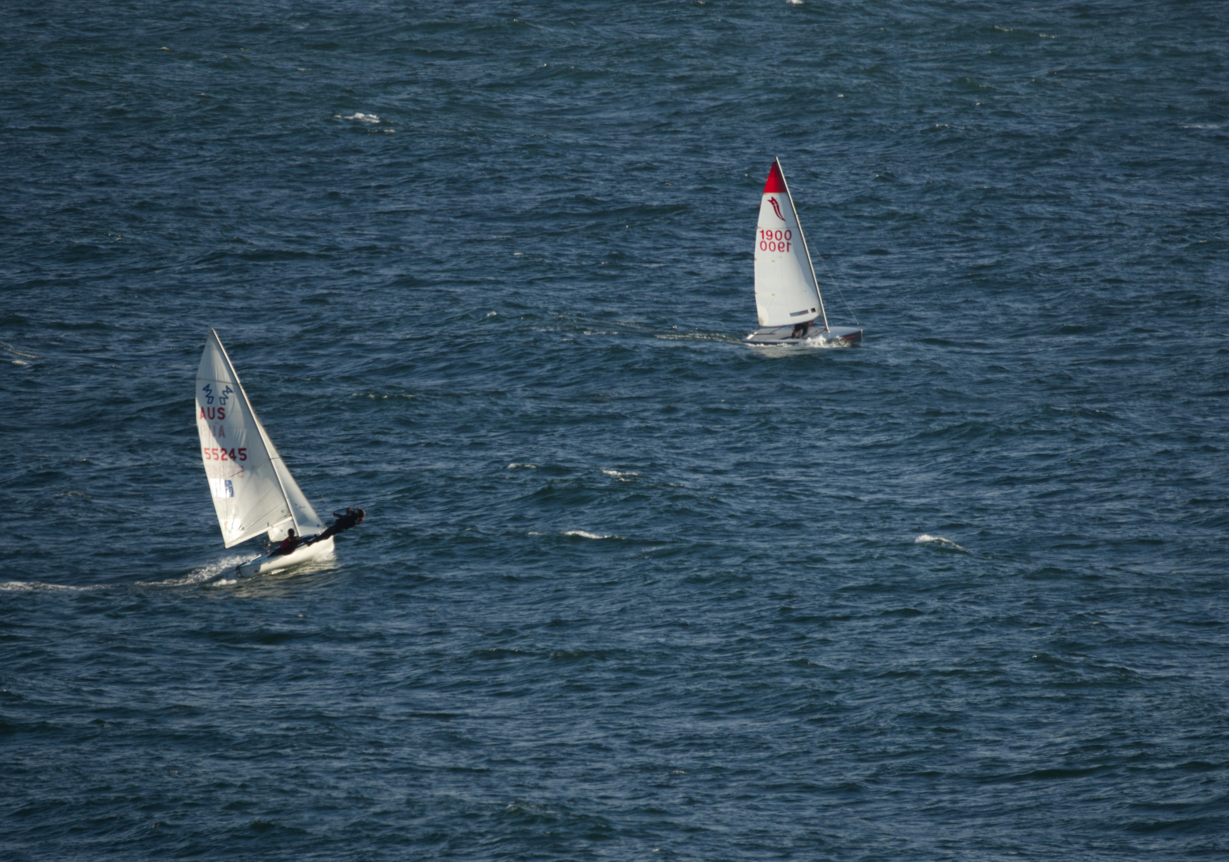 Two sailboats in the middle of a body of water photo – Free Sea Image ...