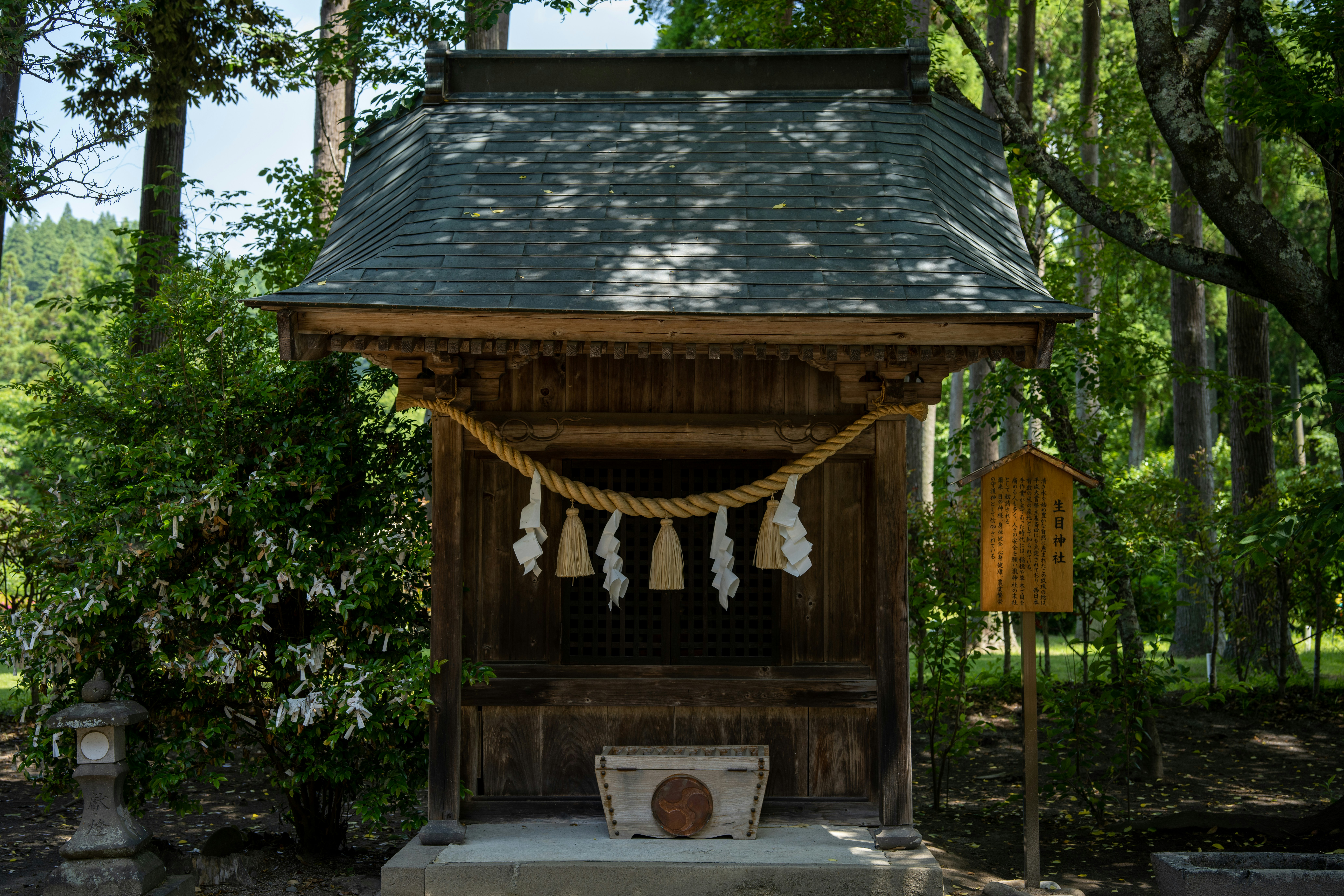 A traditional shrine adorned with shide, nestled among lush greenery, inviting contemplation and reverence.