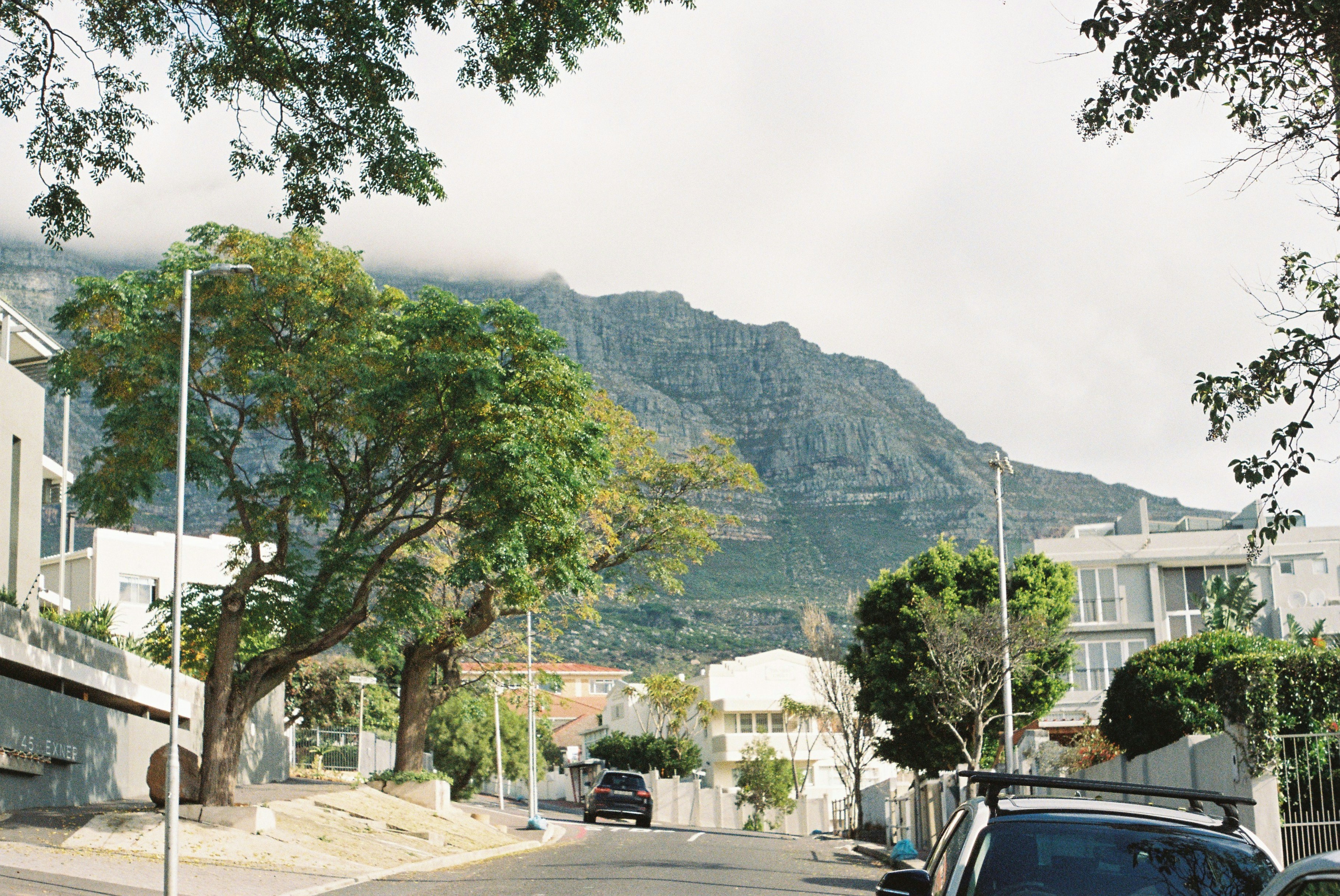 A tranquil street scene framed by lush trees and a towering mountain backdrop, showcasing the harmony between urban life and nature.