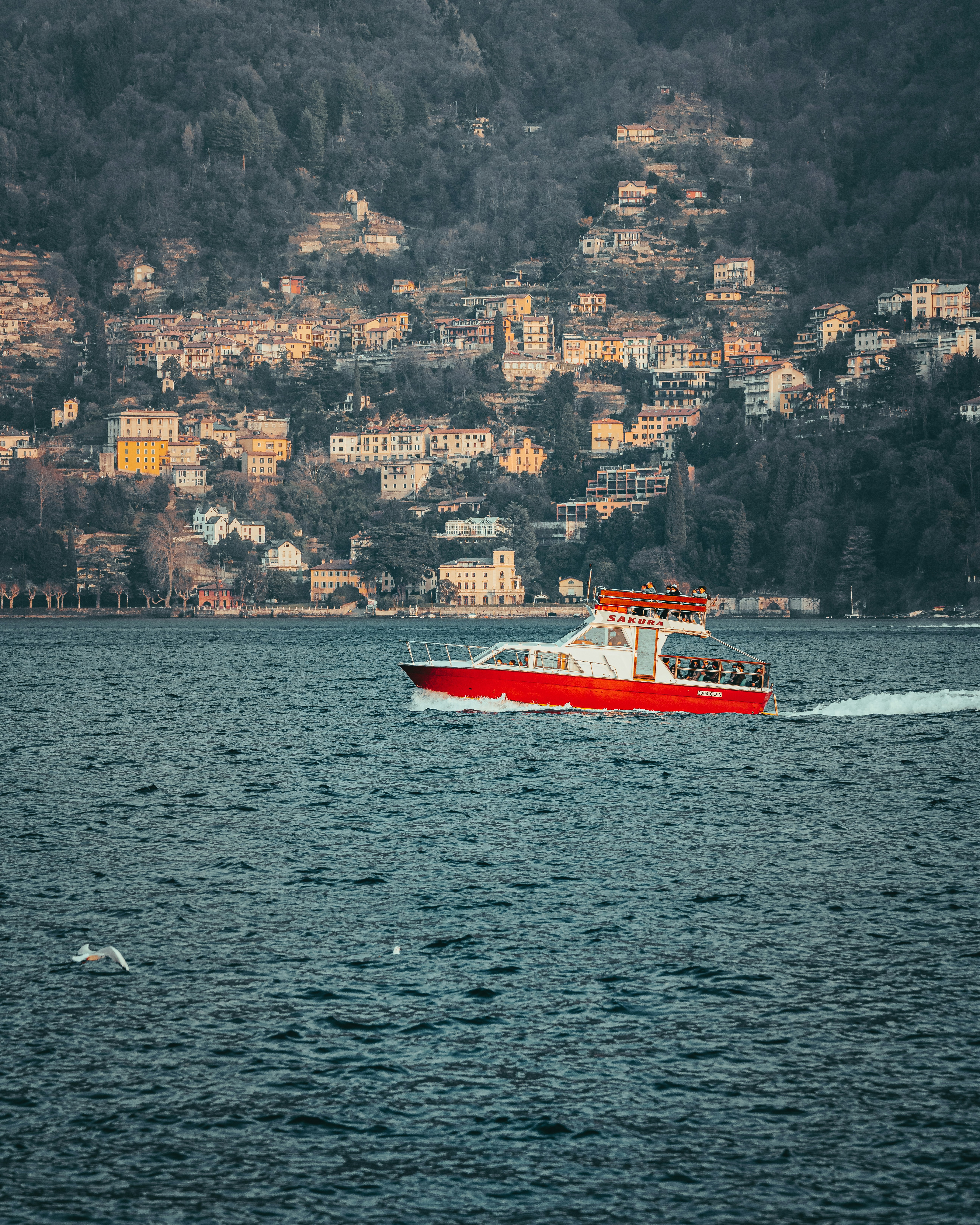 Crimson Runabout Skims a Quiet Lake Beneath Terraced Hillside Homes