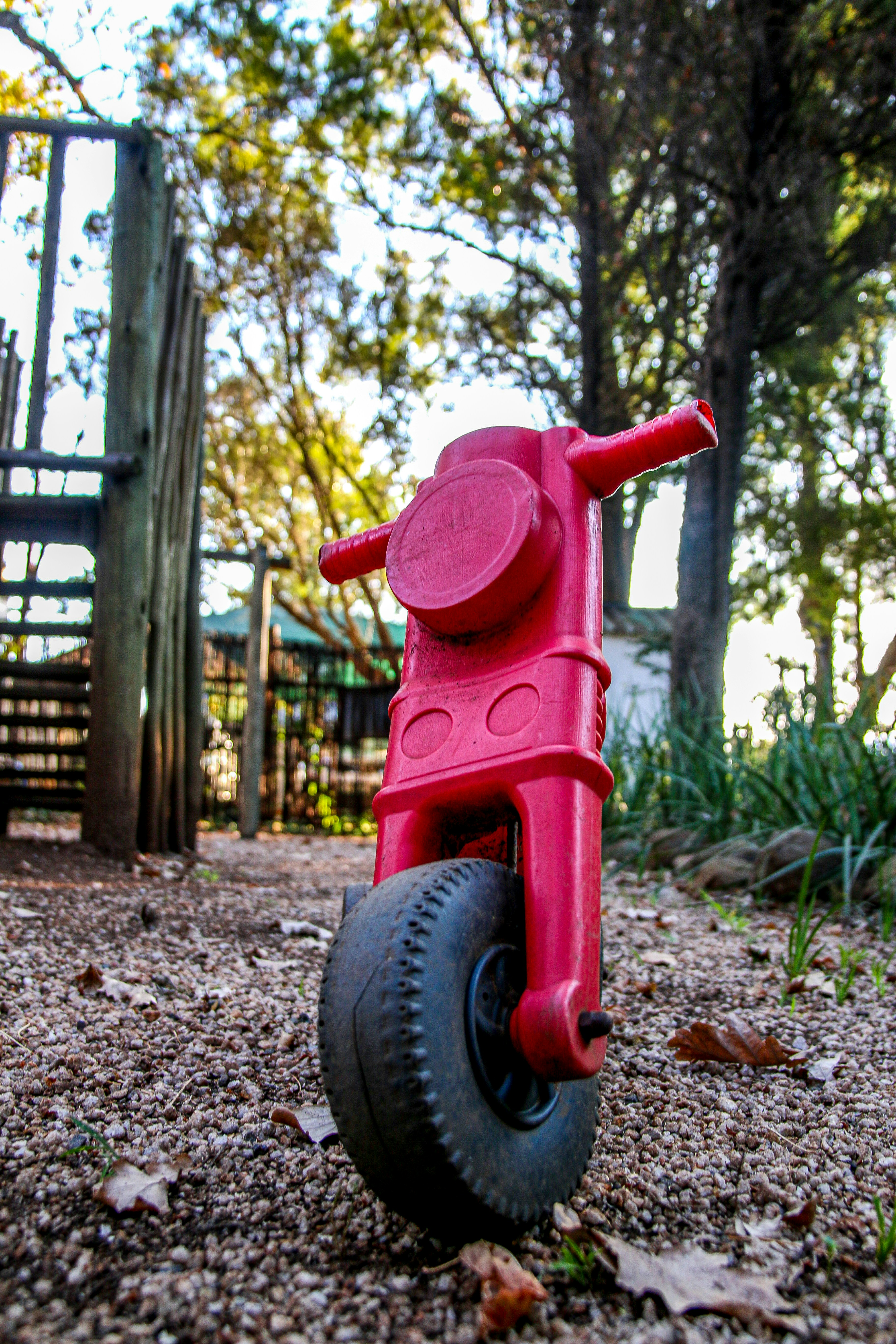 A red toy motorcycle sitting on top of a pile of leaves photo – Free ...