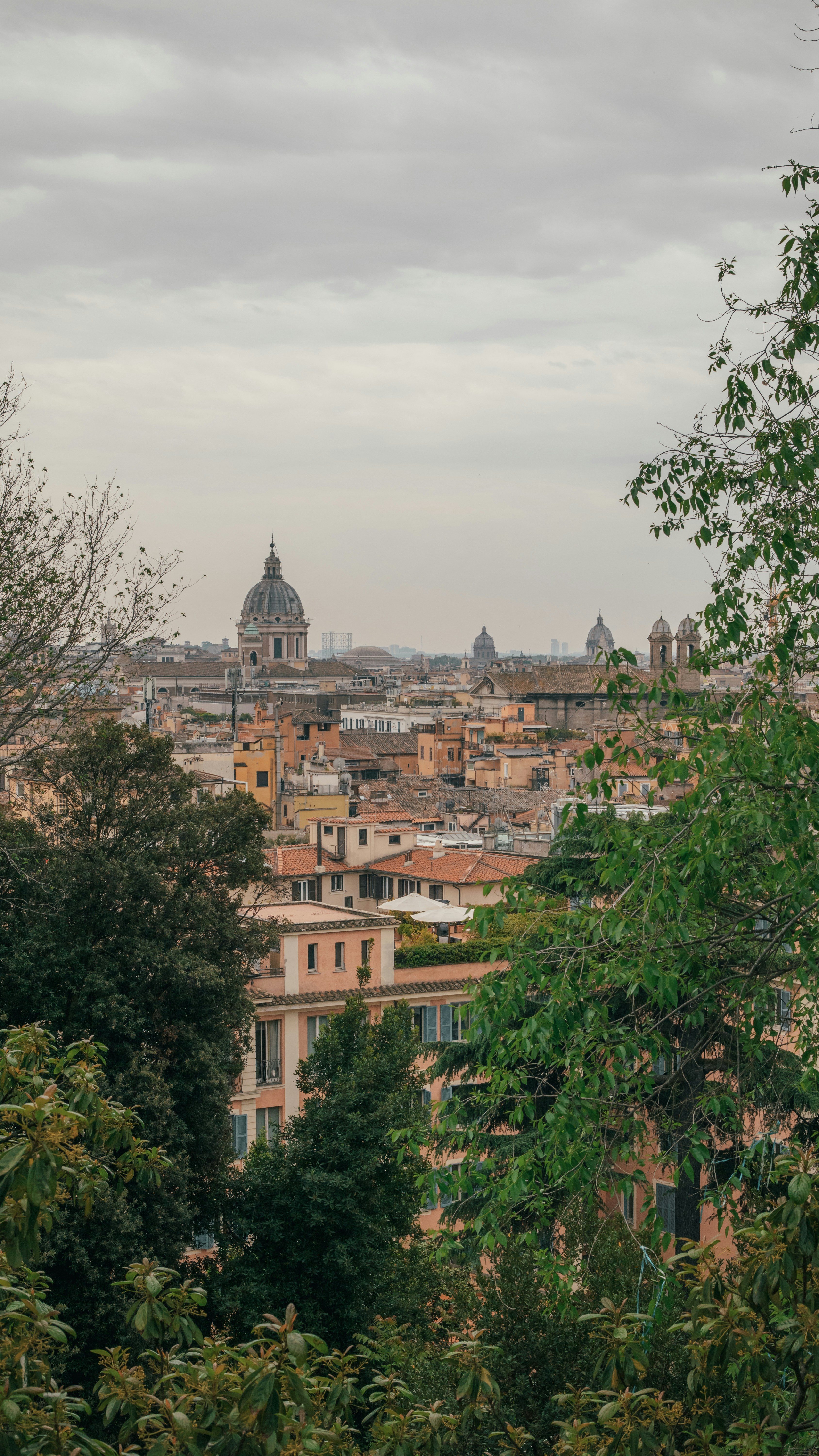 Panoramic view of Rome's historic skyline, framed by lush greenery, showcasing iconic domes and terracotta rooftops.