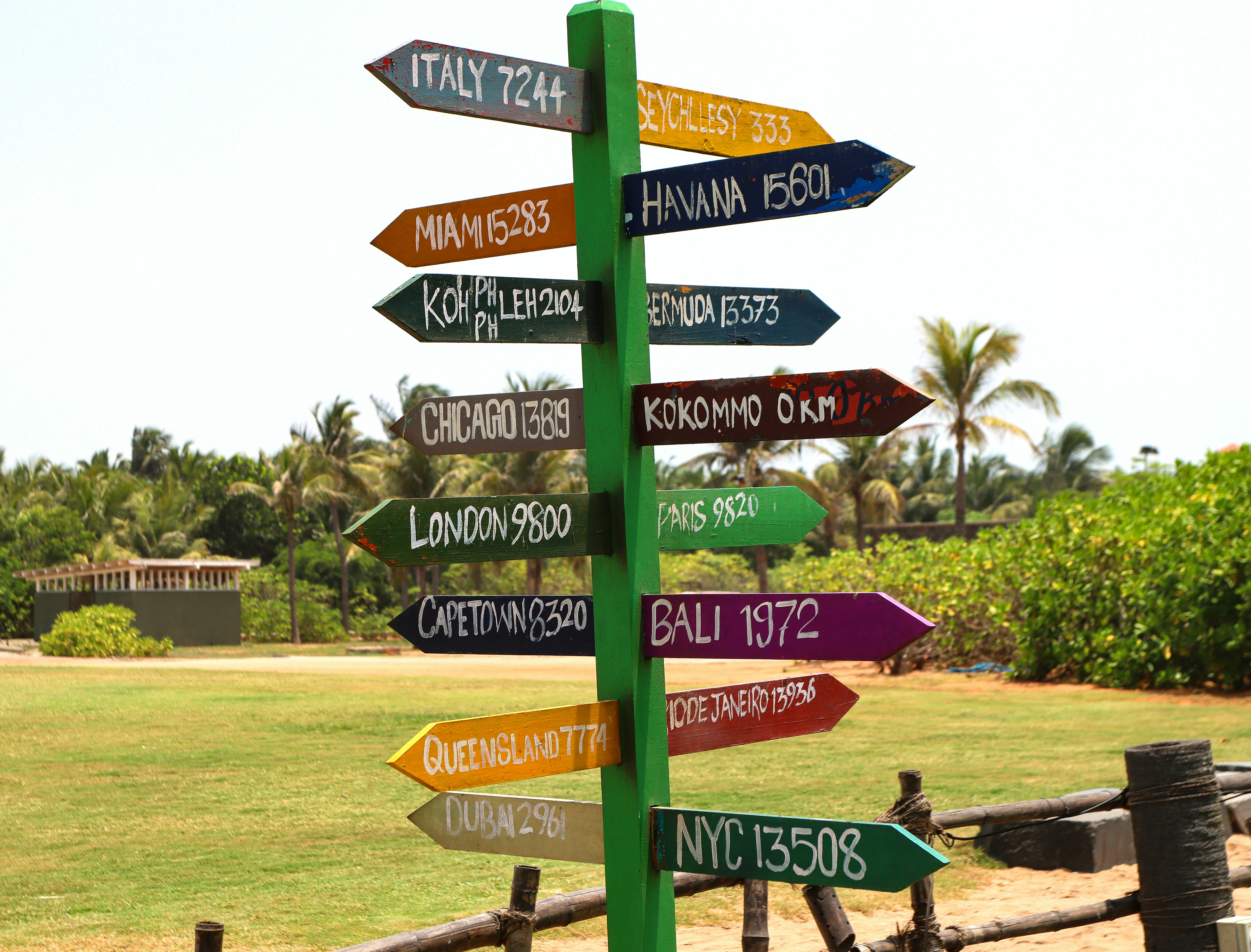 Colorful Compass Signpost: Tropical Directions Under a Palm-Shade Sky