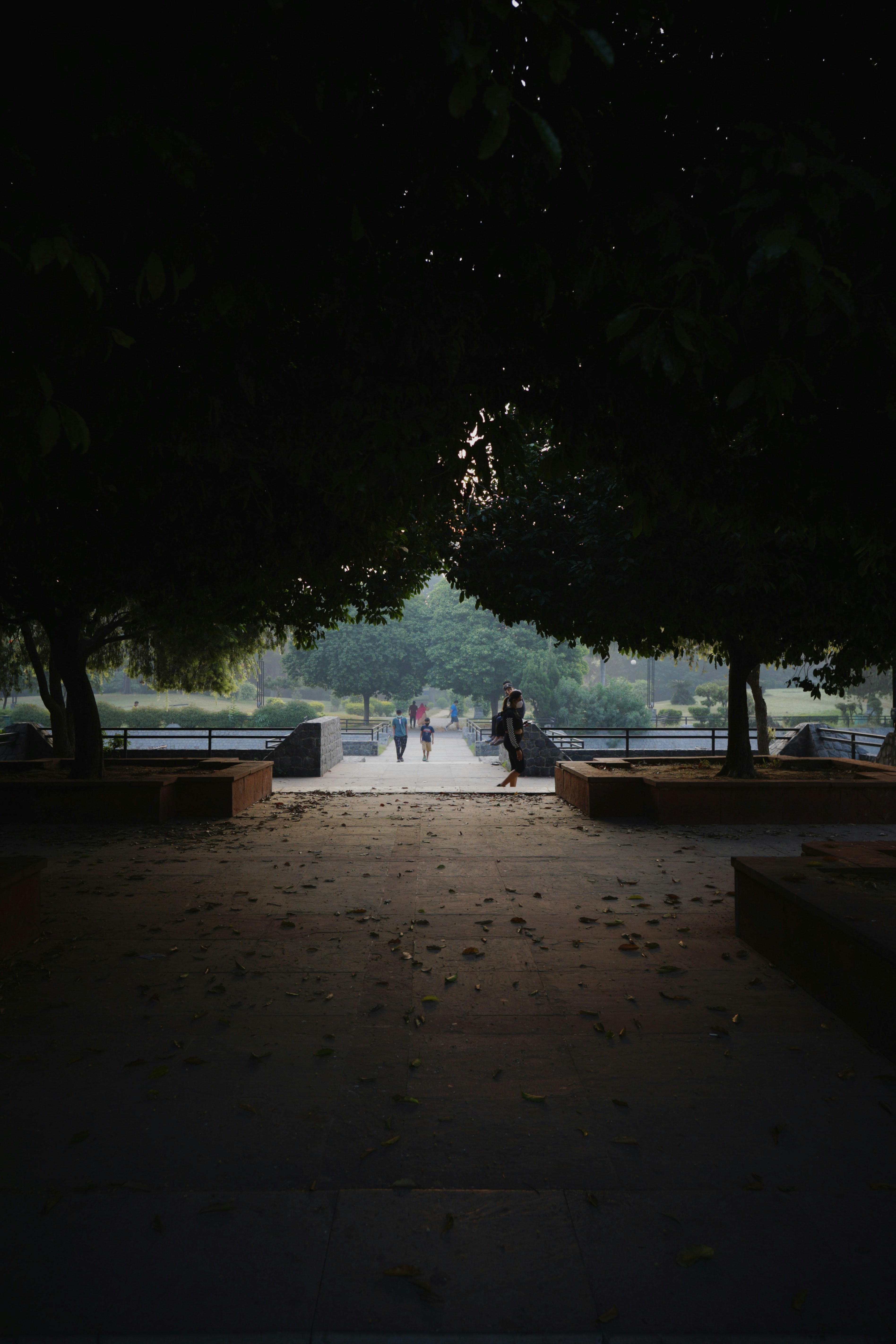 Two figures walking along a serene pathway framed by lush trees, creating a tranquil atmosphere in a park setting.