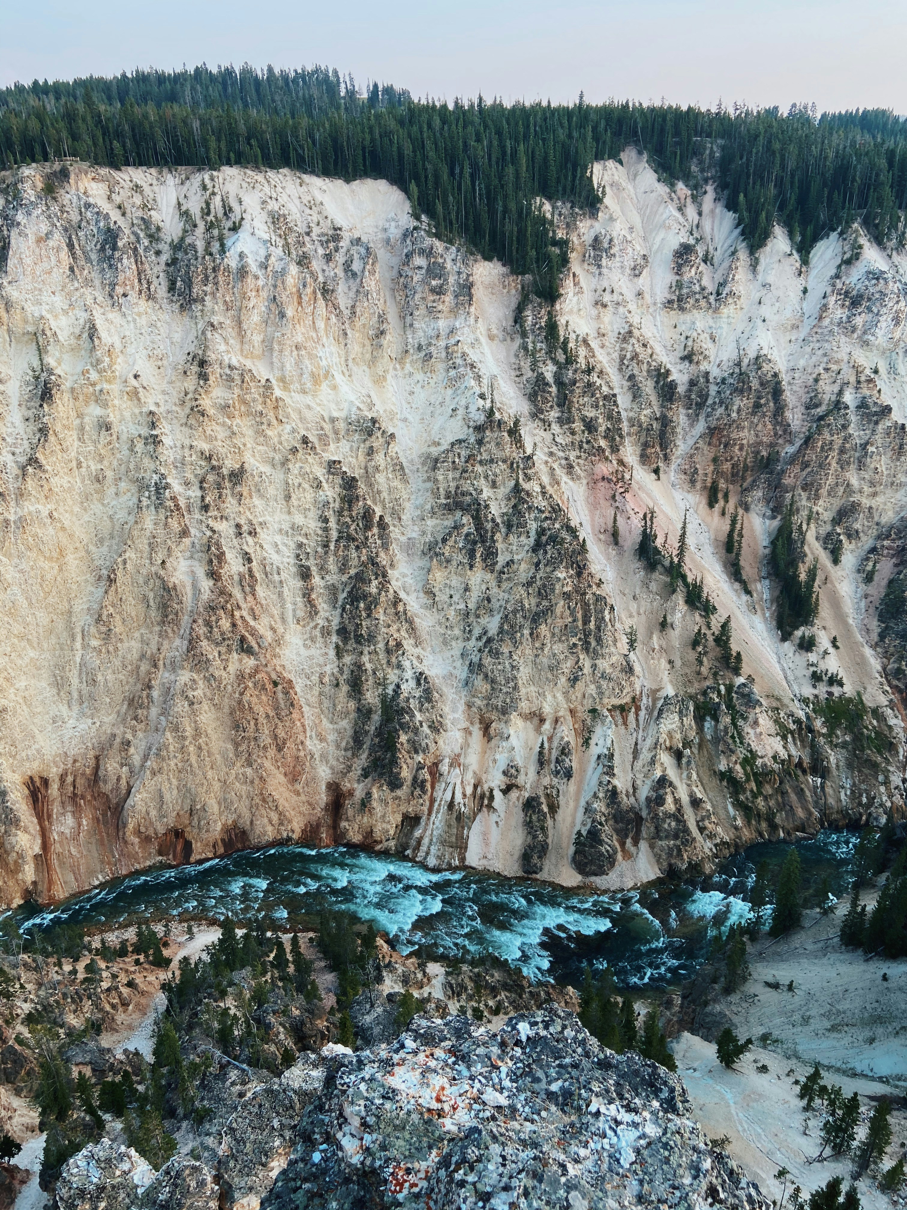Cerulean River Winding Through Striated Canyon Walls Under a Pine Crest