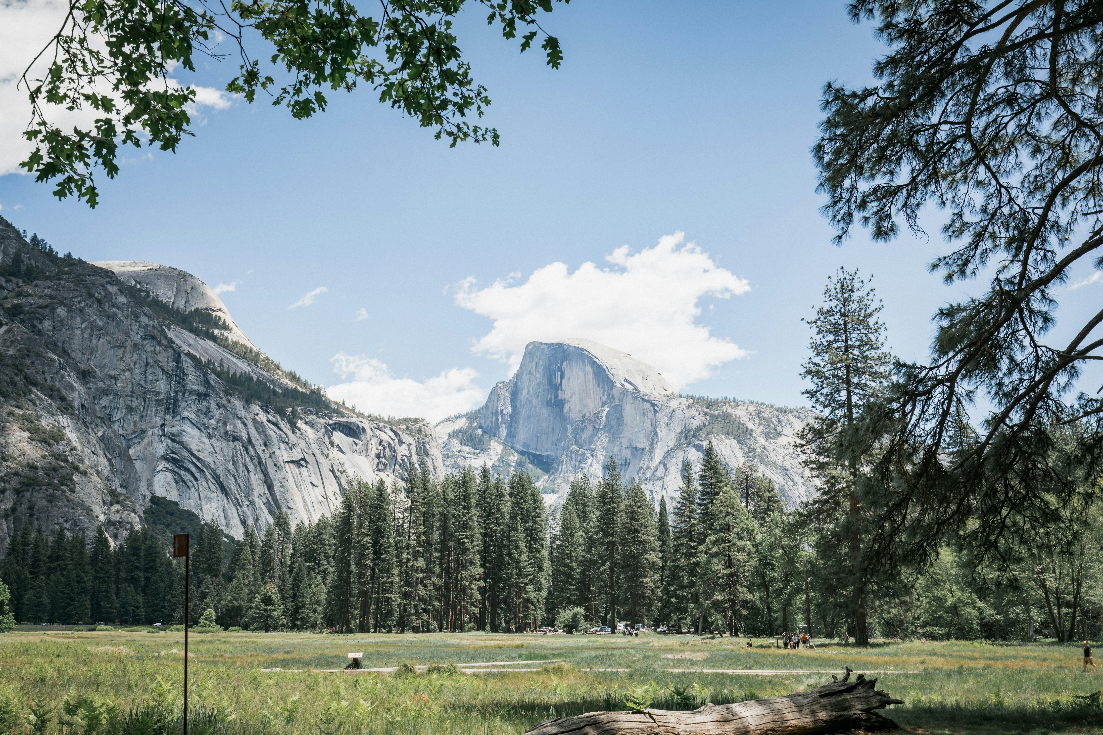 Photo by Andrew Peluso with Canon EOS 5D Mark IV