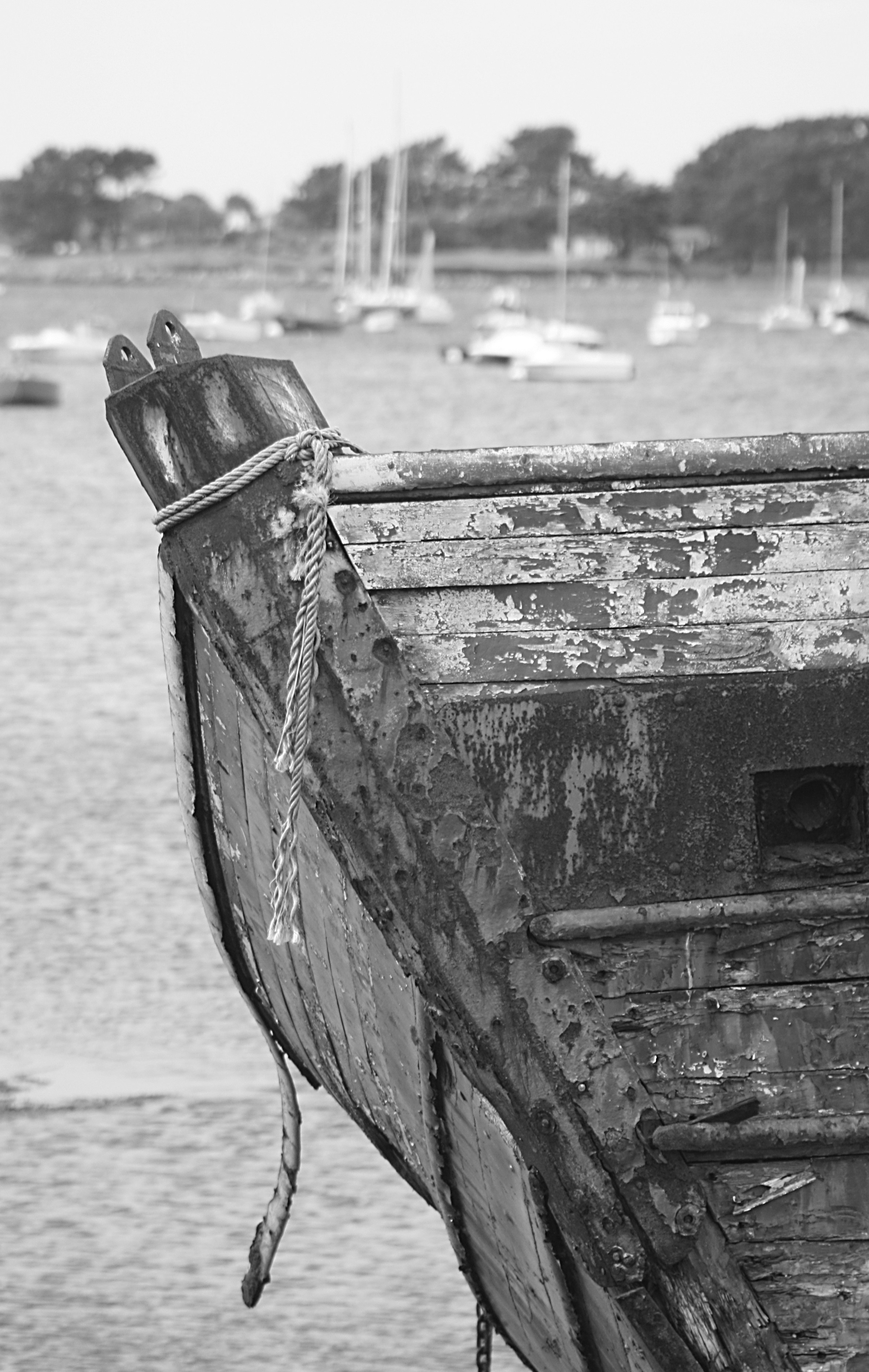 Cracked hull, weathered ropes: a quiet harbor memory