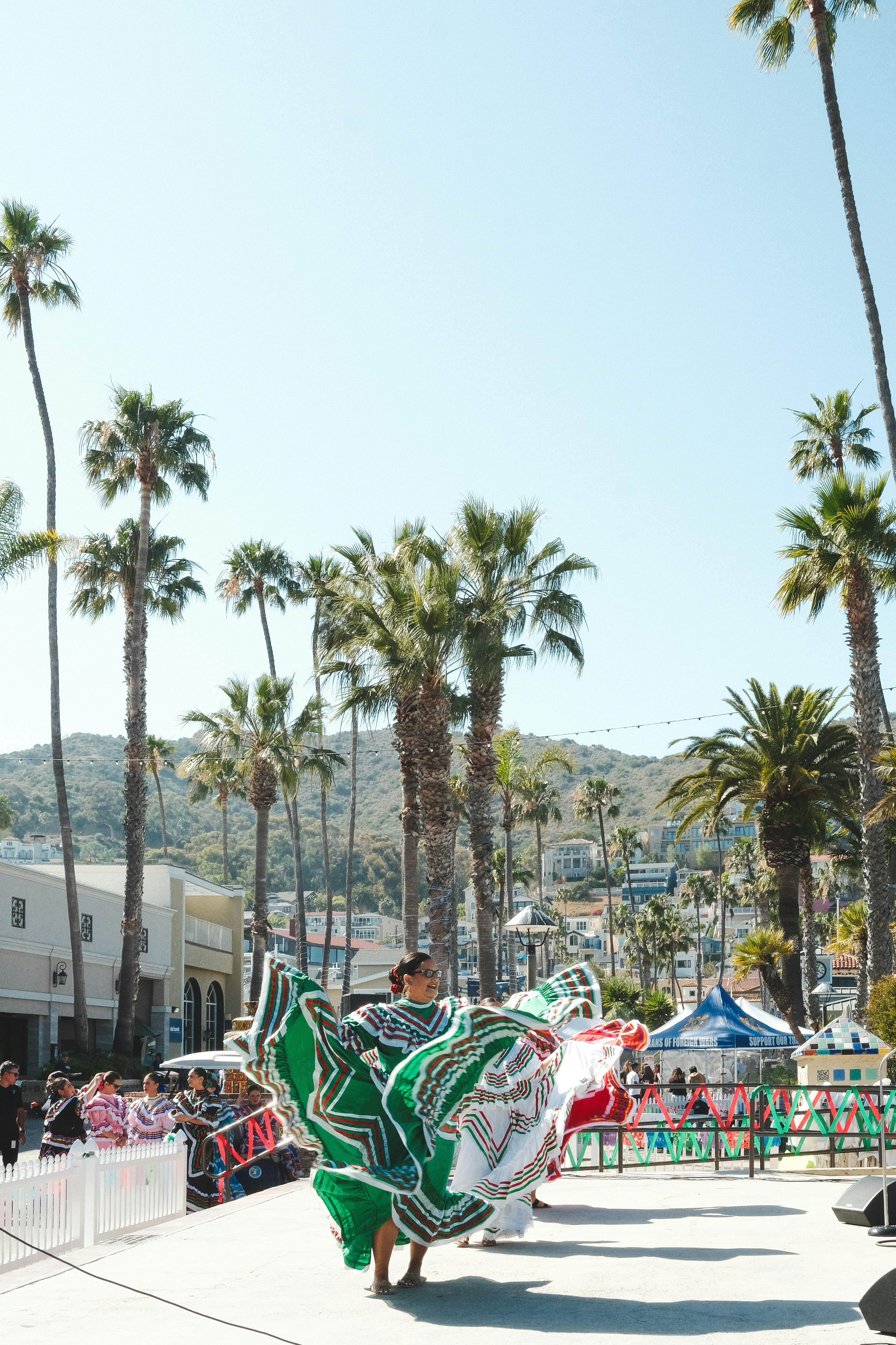 Palm-Striped Promenade: Whirls of Green and White