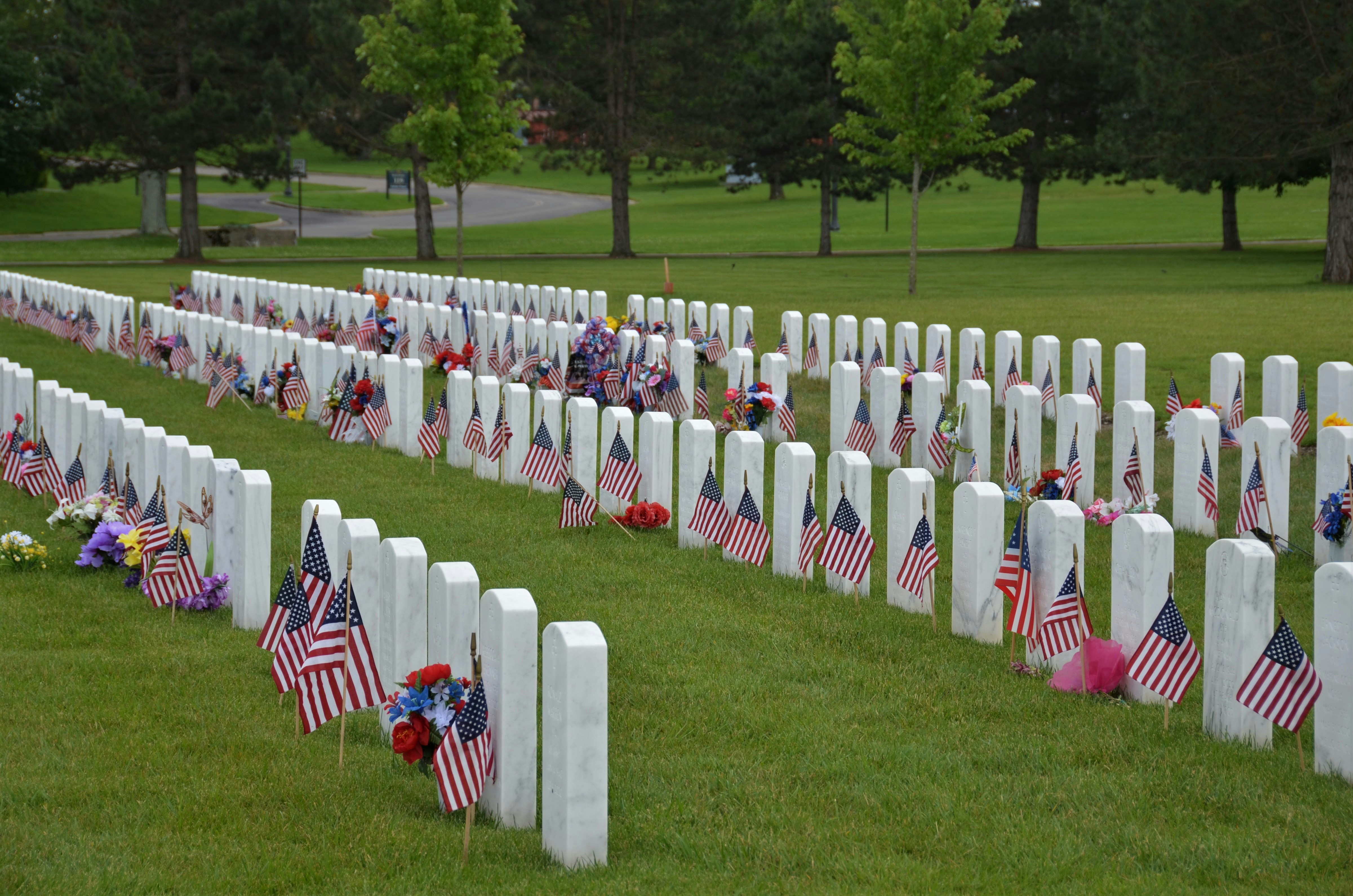 A long line of american flags and wreaths photo – Free Grey Image on ...