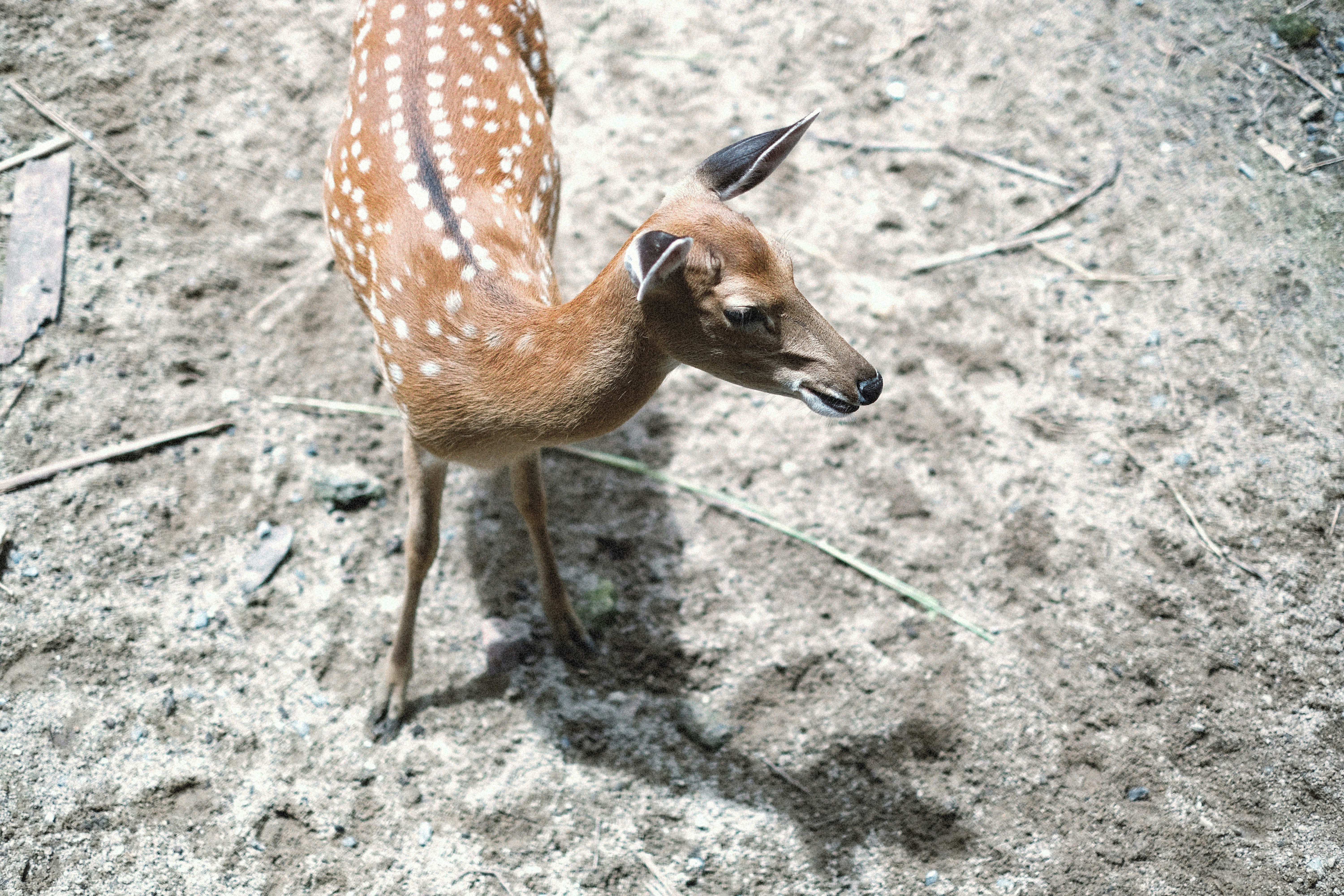 Photo by Alexey Demidov with Fujifilm X-E3