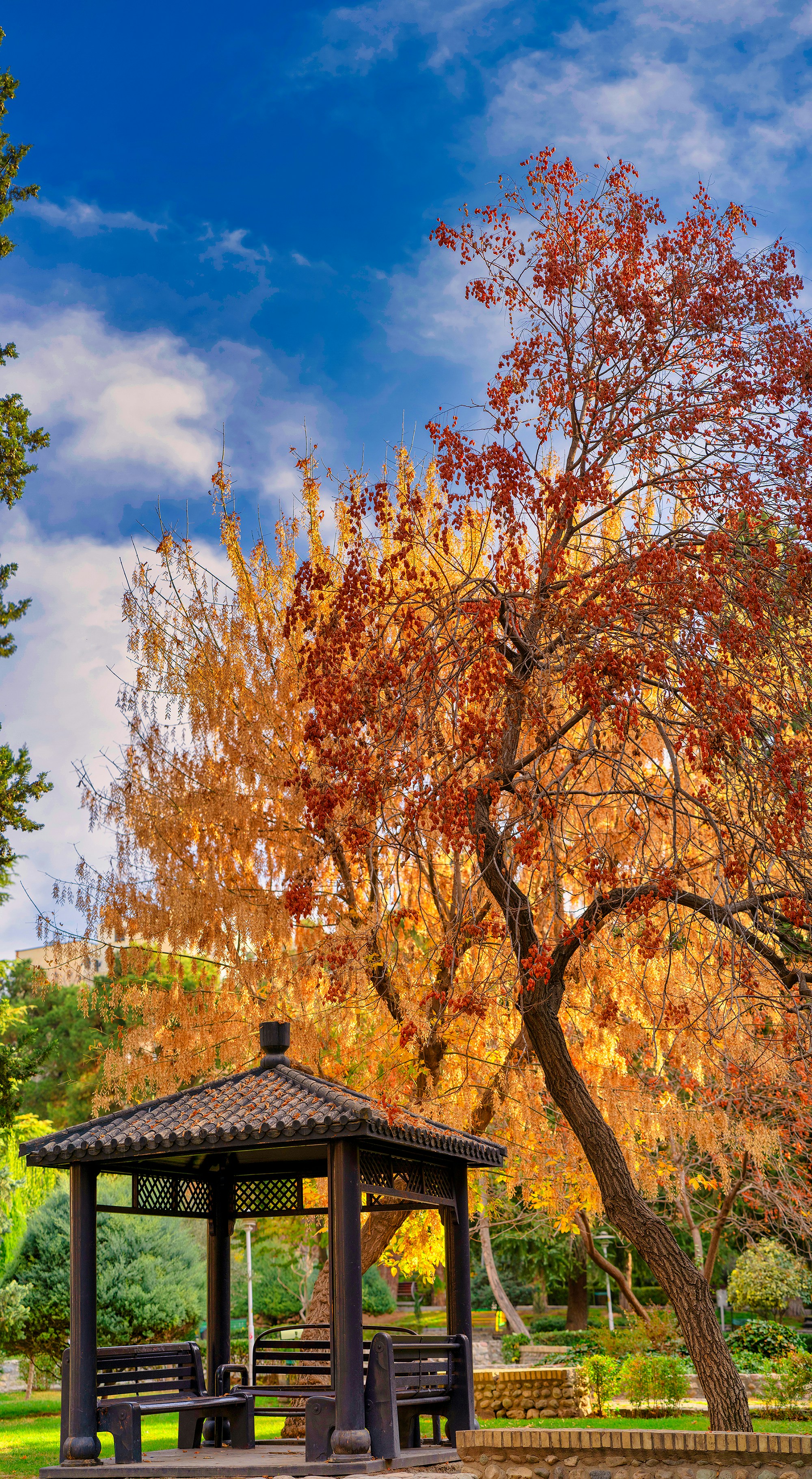 Amber Canopy Over a Tranquil Garden Pavilion