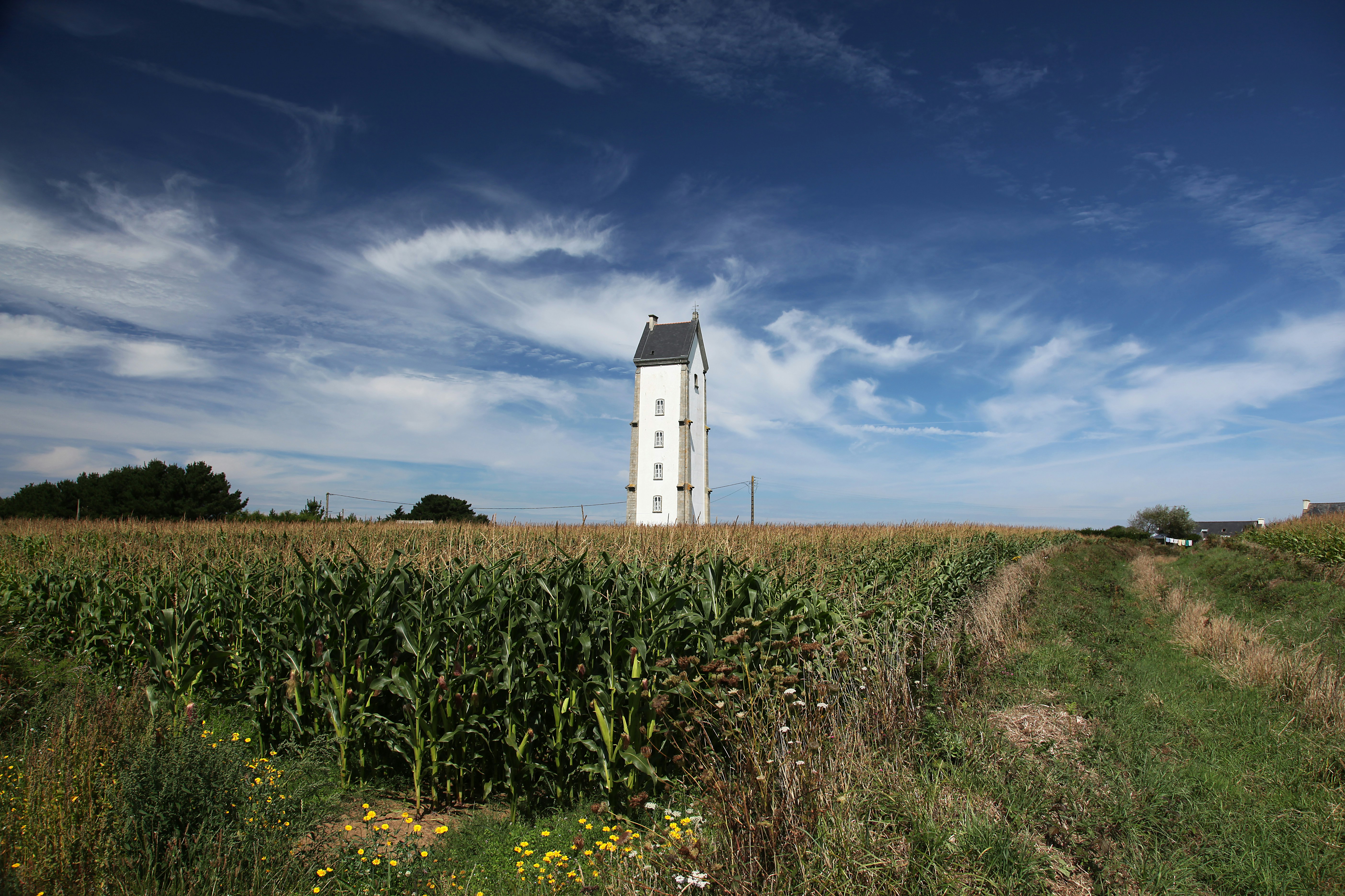 a tall white tower sitting in the middle of a field