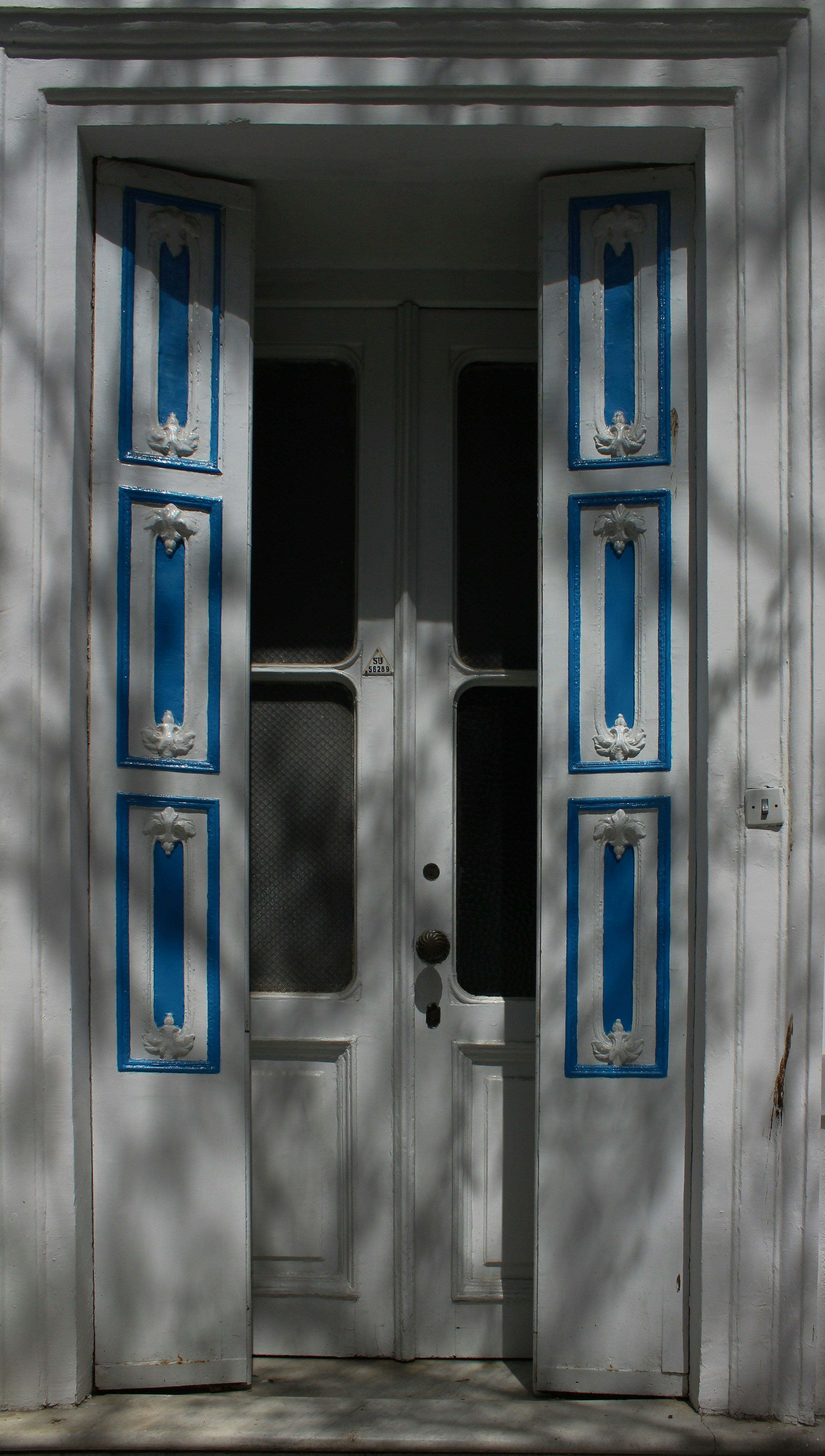 Elegant double doors adorned with blue and white accents, framed by soft shadows from surrounding foliage.