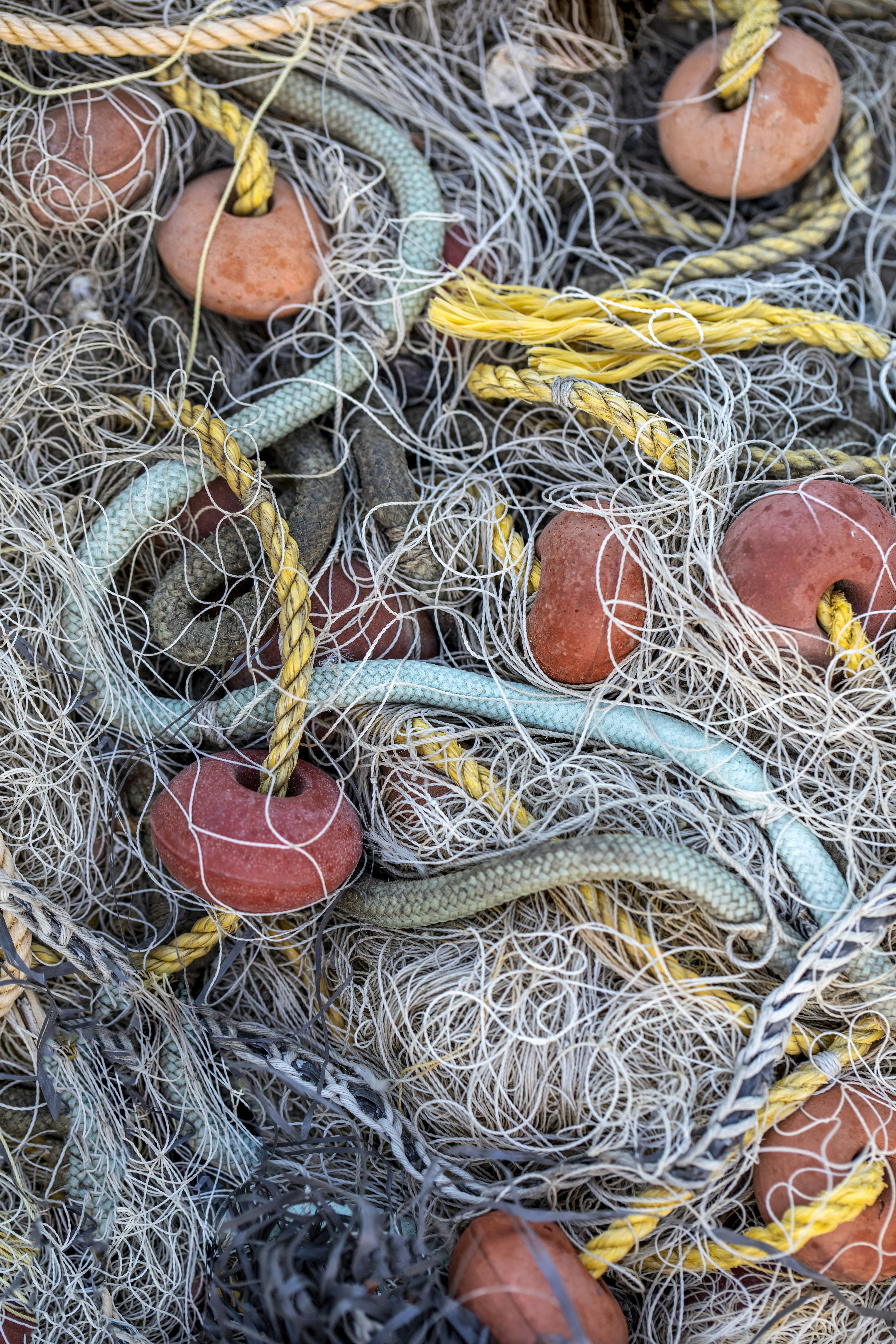 A pile of fishing nets filled with lots of fishing nets photo – Free ...