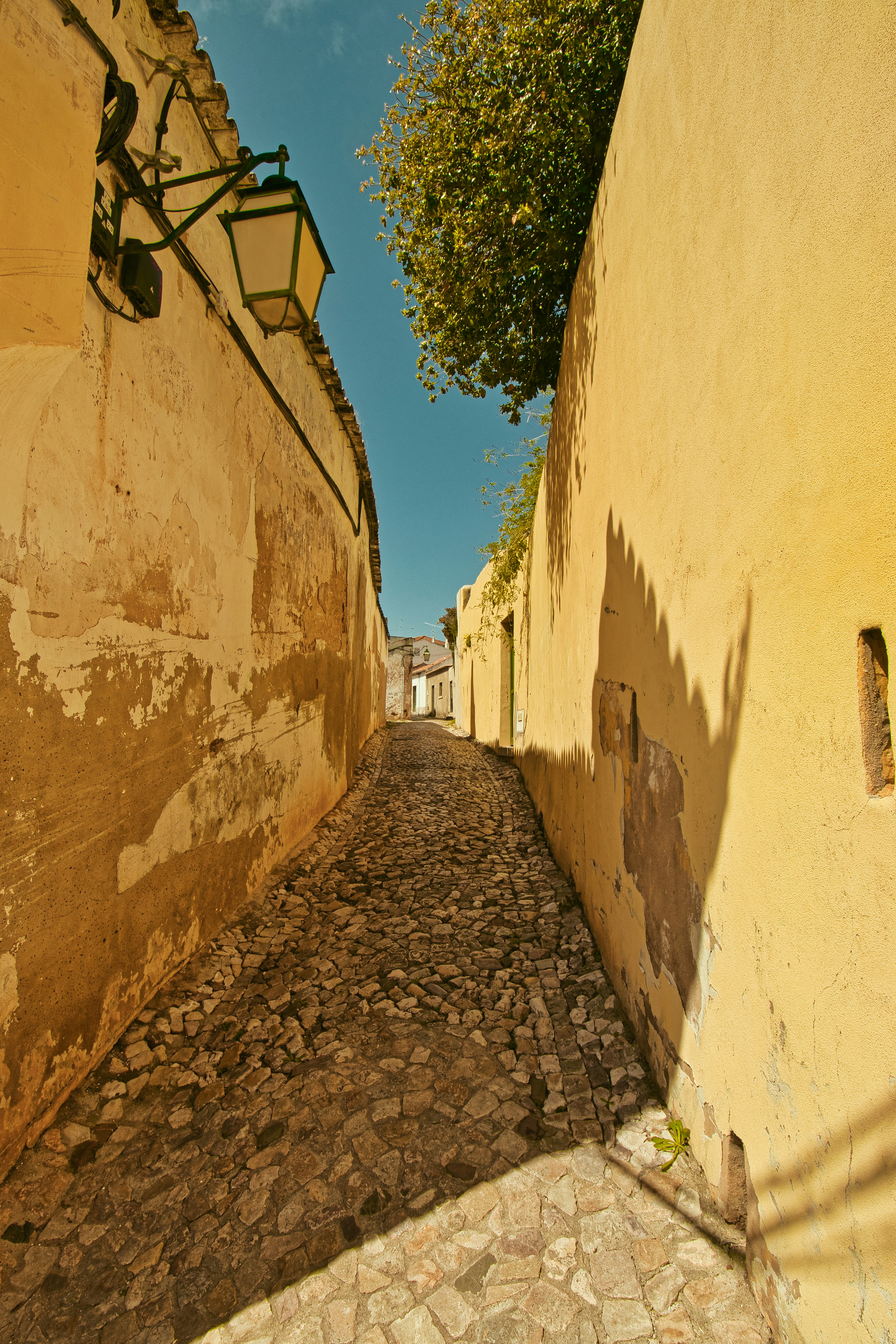 a cobblestone street with a lamp post on the side photo – Free Portugal ...