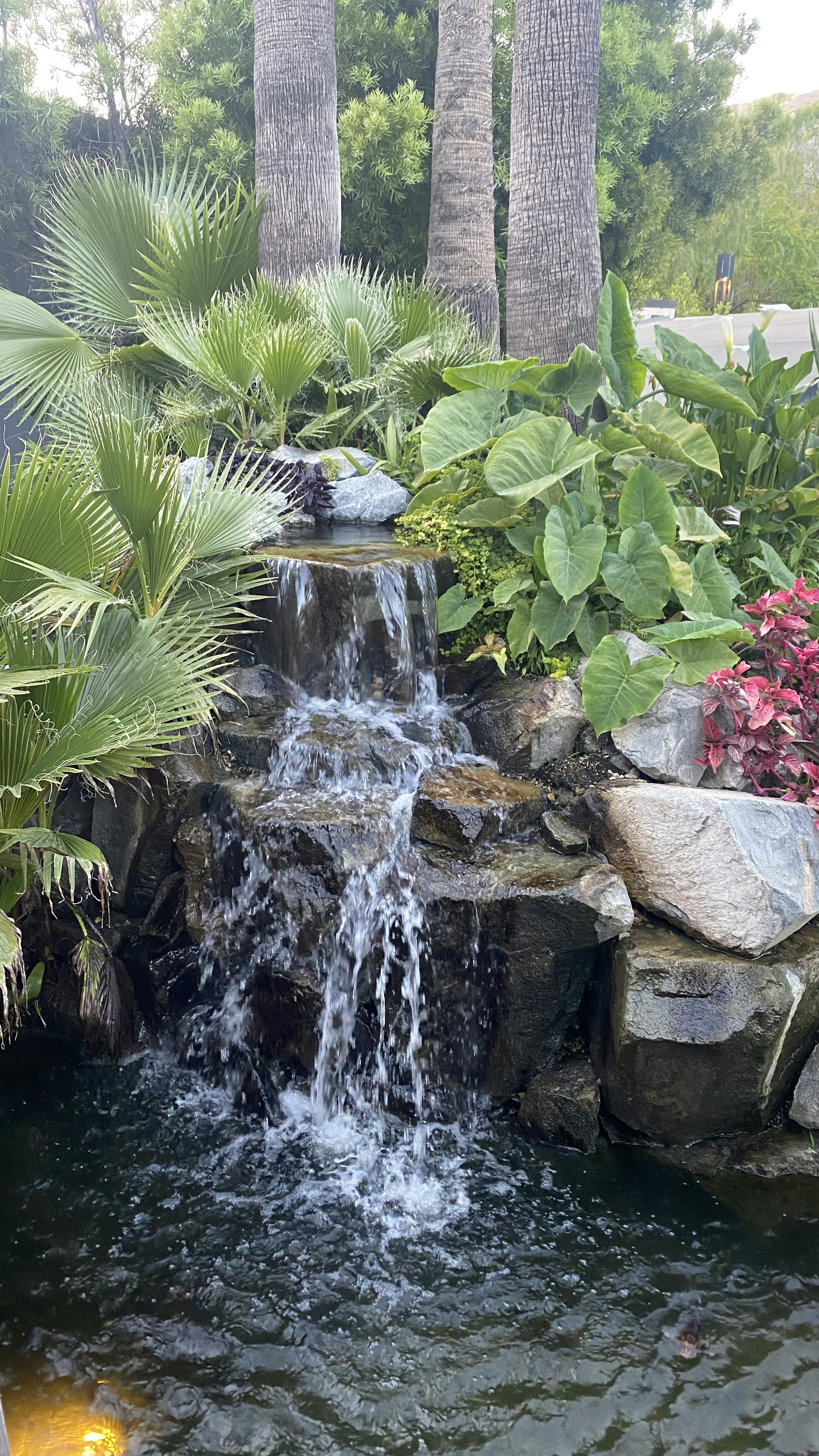 Tropical Waterfalls And Ponds