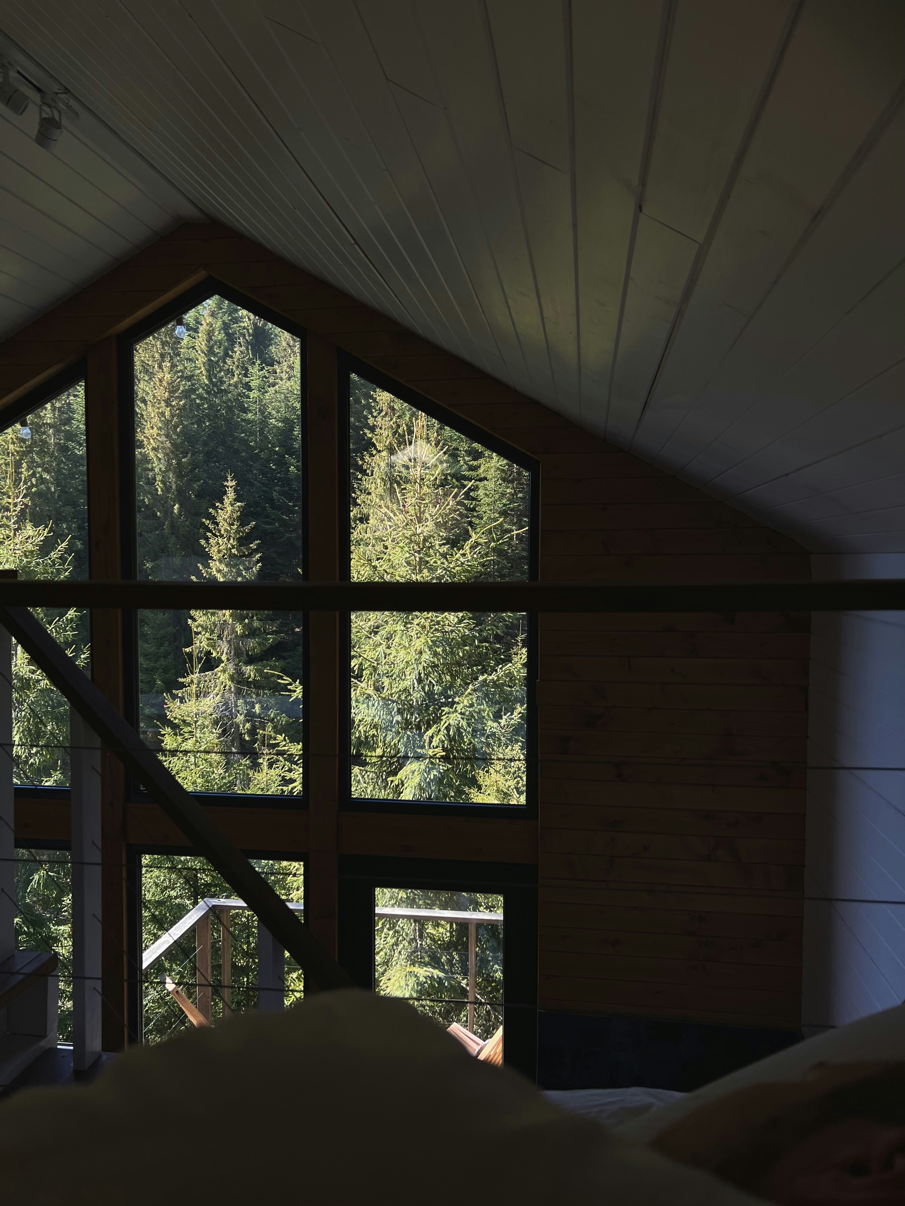 Wooden cabin interior showcasing large windows with a panoramic view of lush green trees outside. Natural light filters through, enhancing the tranquil atmosphere.