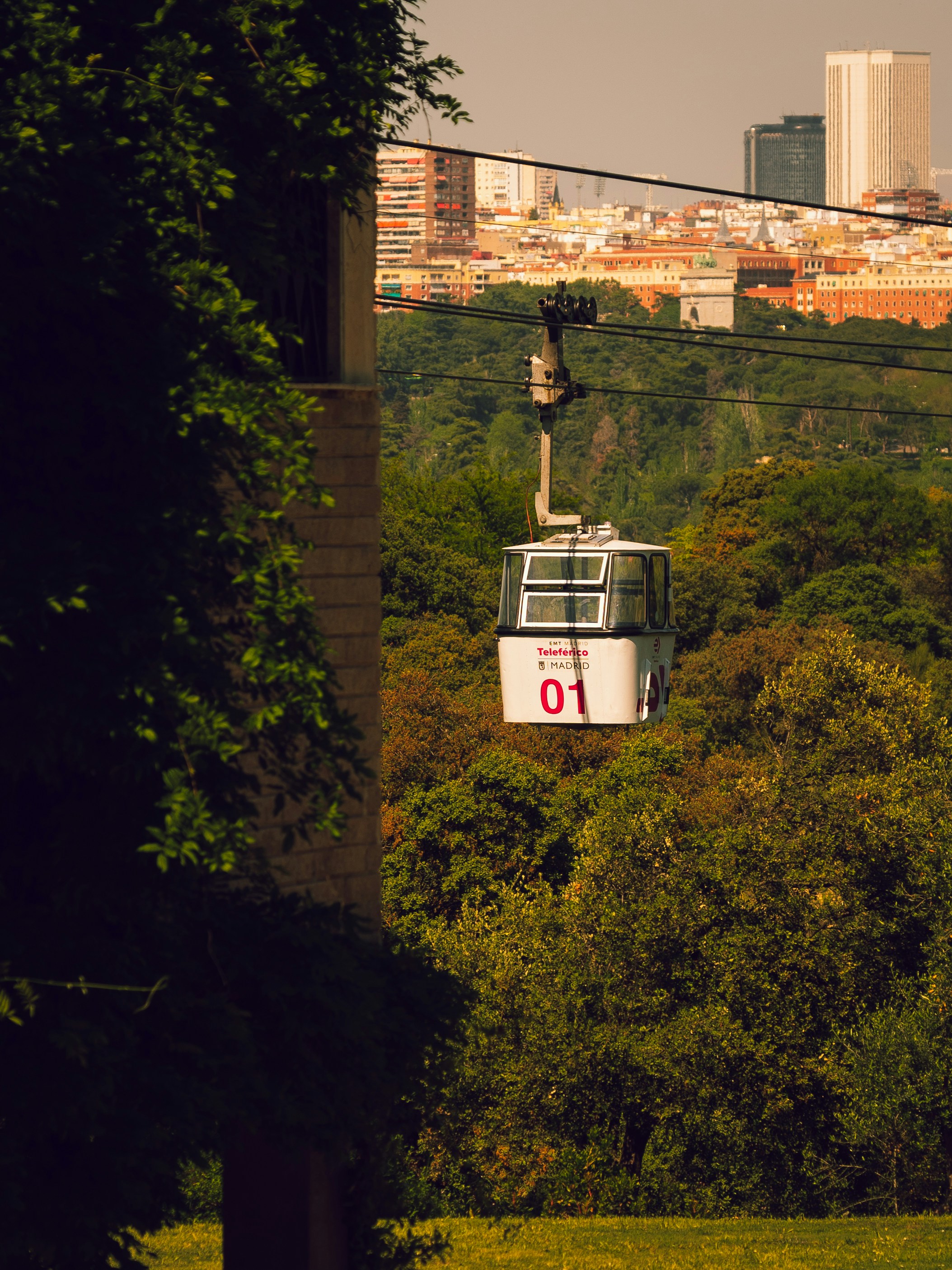 Gondola Over the Emerald Canopy: A Quiet Bridge Between Park and Skyline