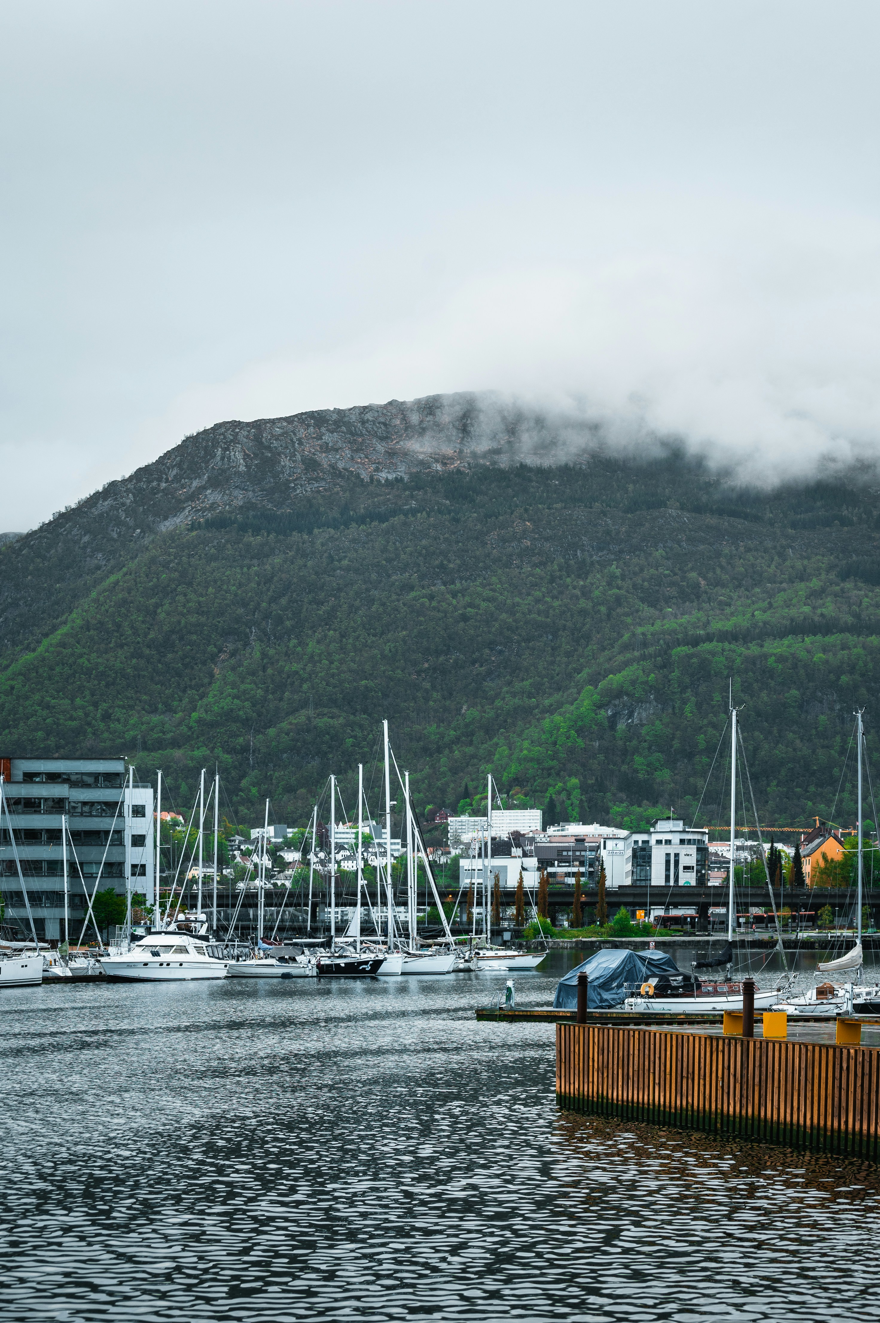 a body of water with a mountain in the background