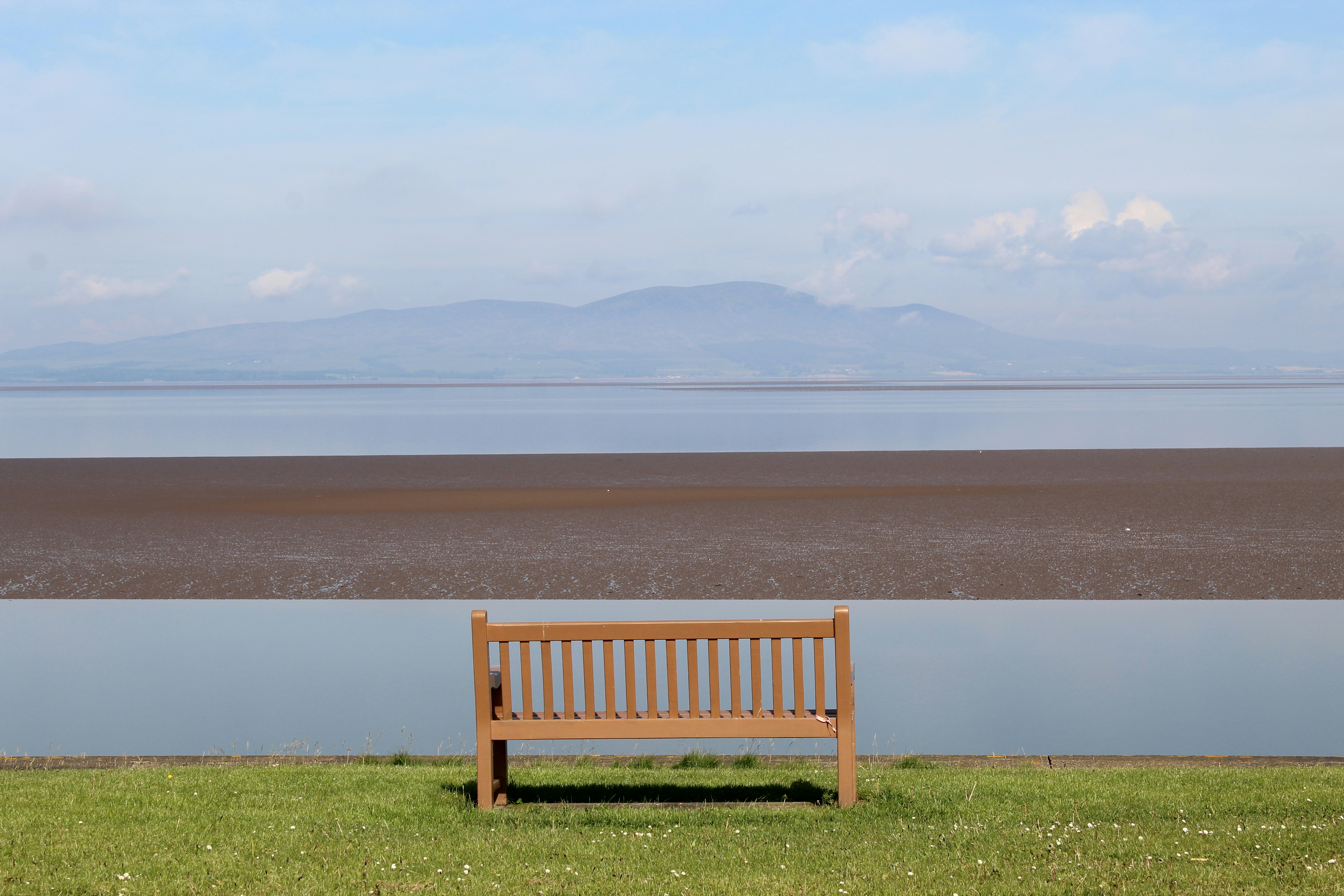 a wooden bench sitting on top of a lush green field